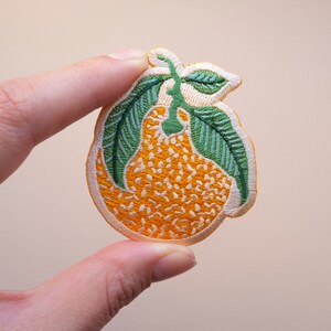 Clementine Embroidered Iron-on Patch Nature Patch Orange Patch ...