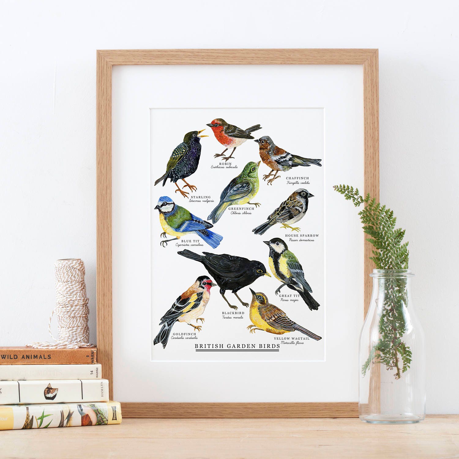 British Garden Birds Print | Bird Giclée Print | British Nature Print ...