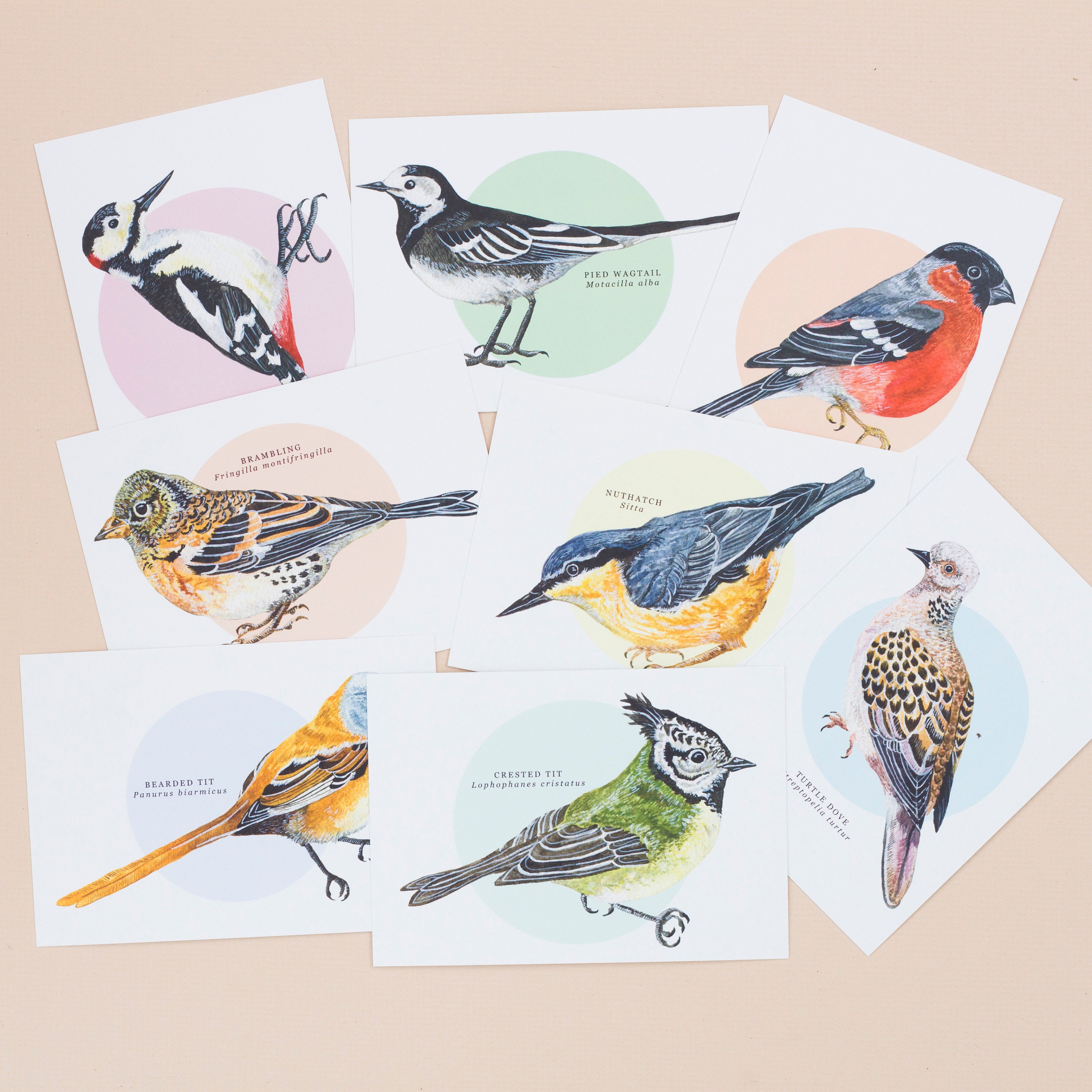 British Bird Notelet Pack Pack of 8 Illustrated Notelets | Etsy