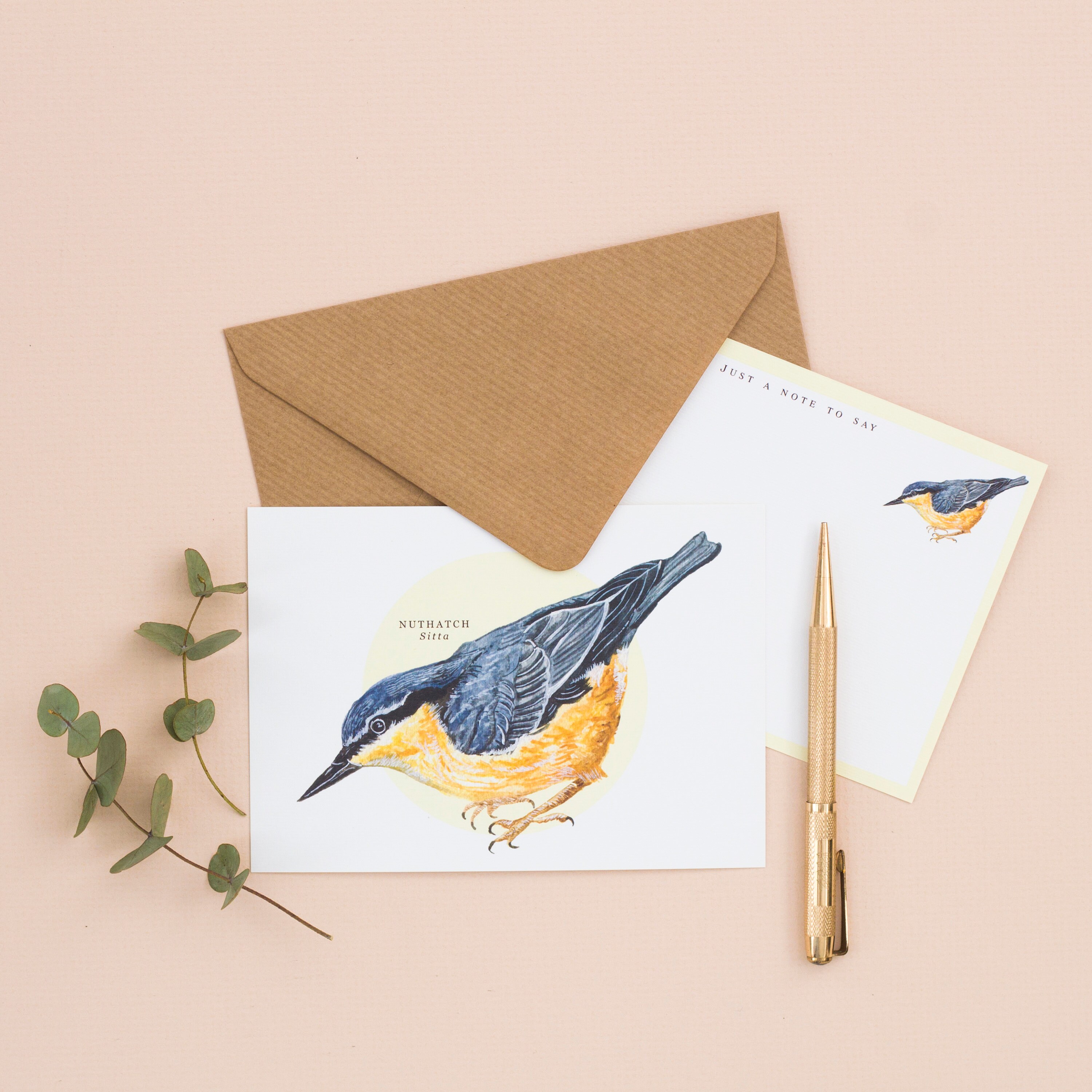 British Bird Notelet Pack Pack of 8 Illustrated Notelets | Etsy