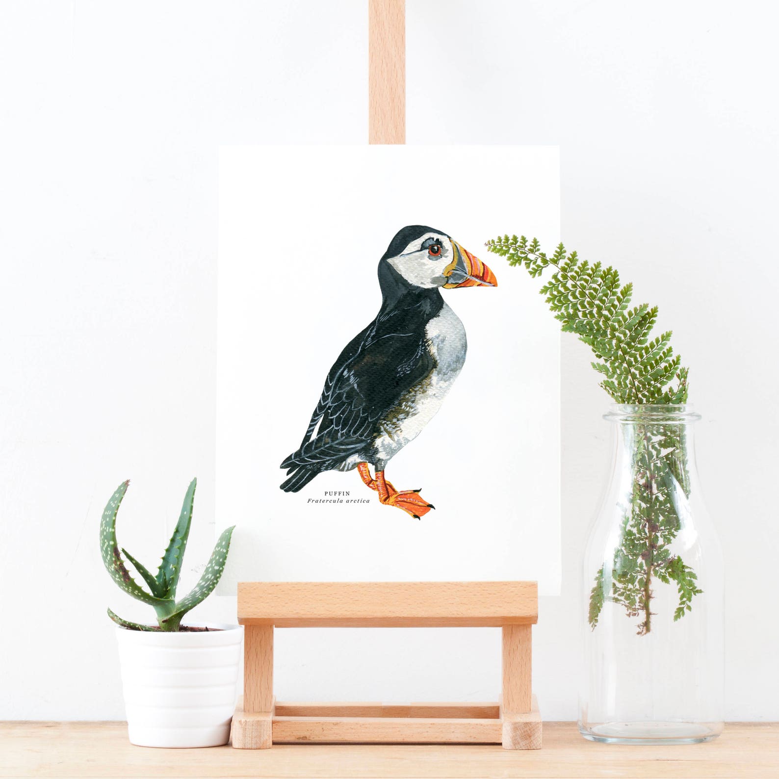 Puffin Illustrated Giclée Print British Puffin Print - Etsy