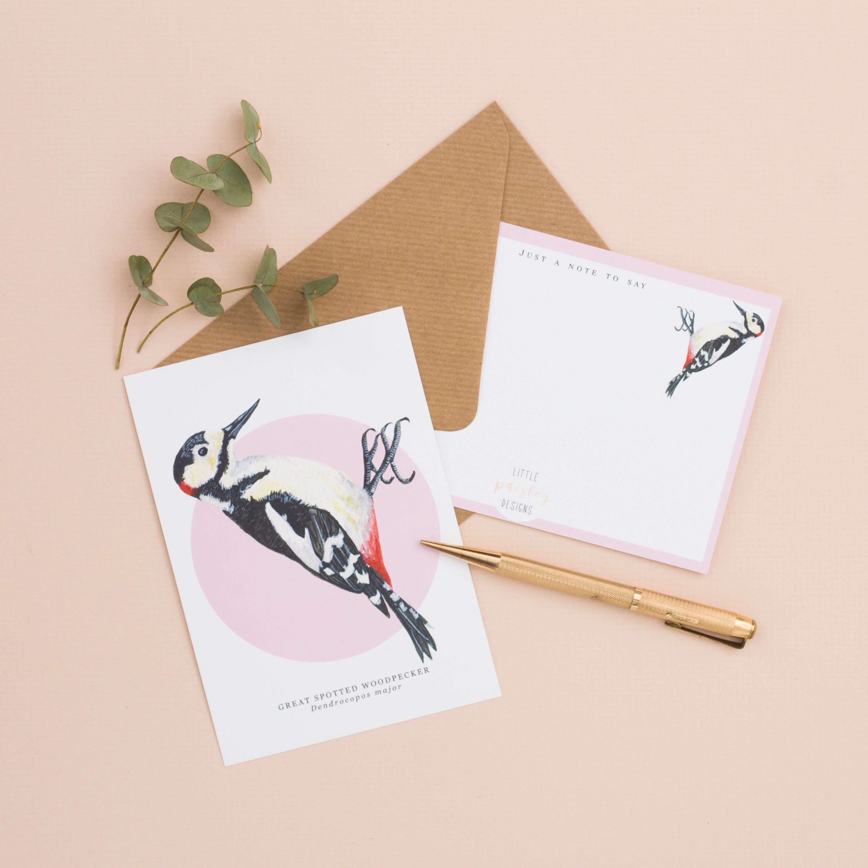 British Bird Notelet Pack Pack of 8 Illustrated Notelets | Etsy