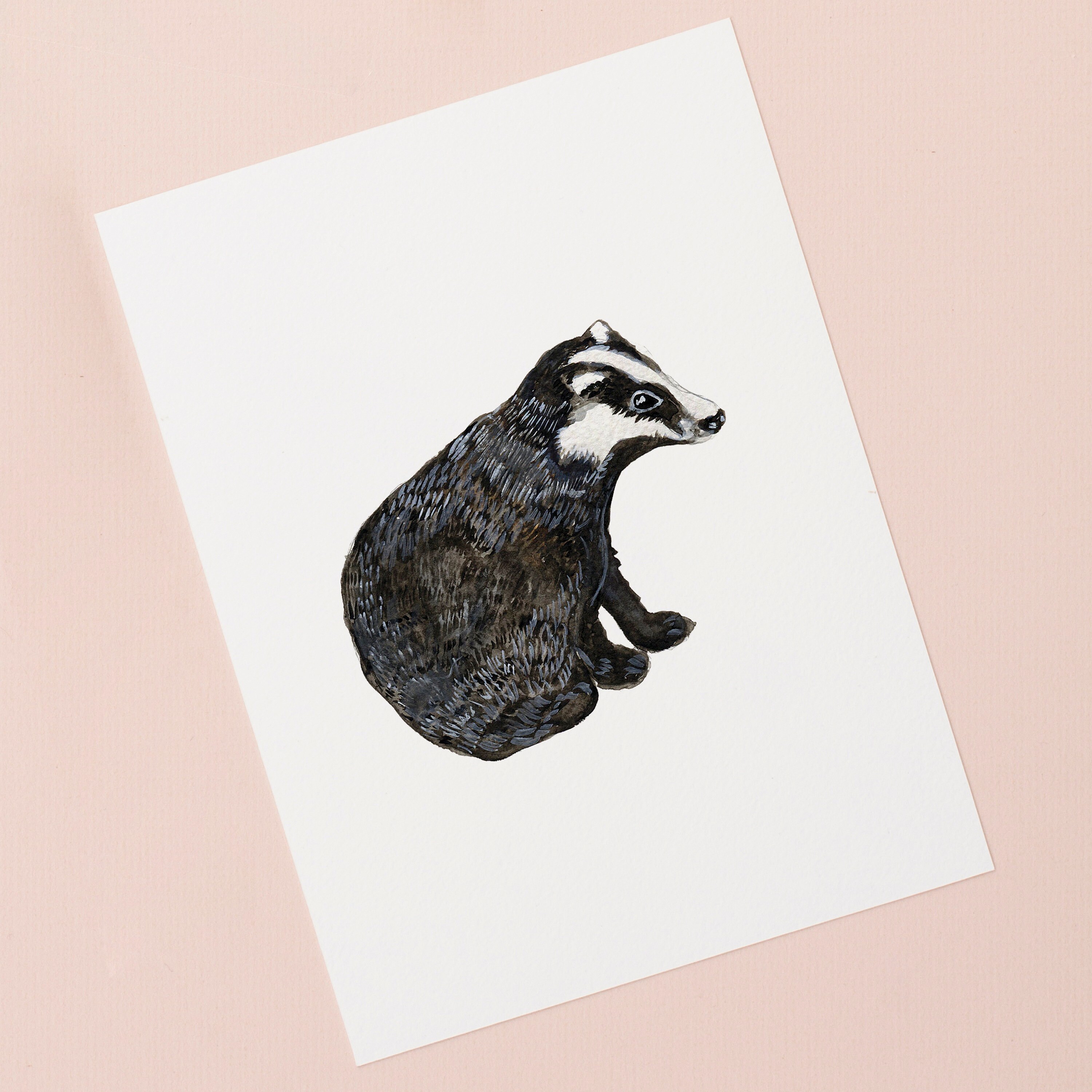 Badger Illustrated Giclée Print | British Badger Print | Giclée Print ...