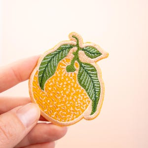 Clementine Embroidered Iron-on Patch | Nature Patch | Orange Patch ...