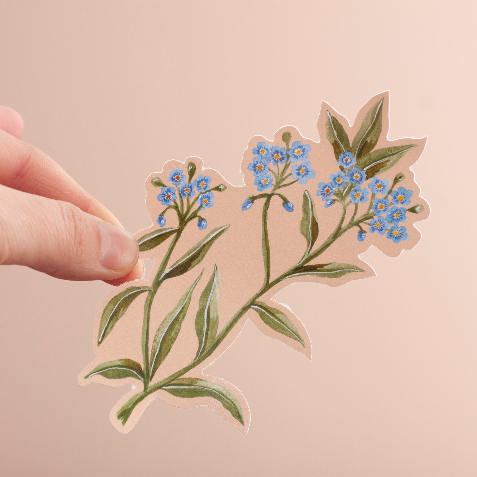 Wildflower Vinyl Sticker Pack | Watercolour Flower Stickers | Dandelion ...