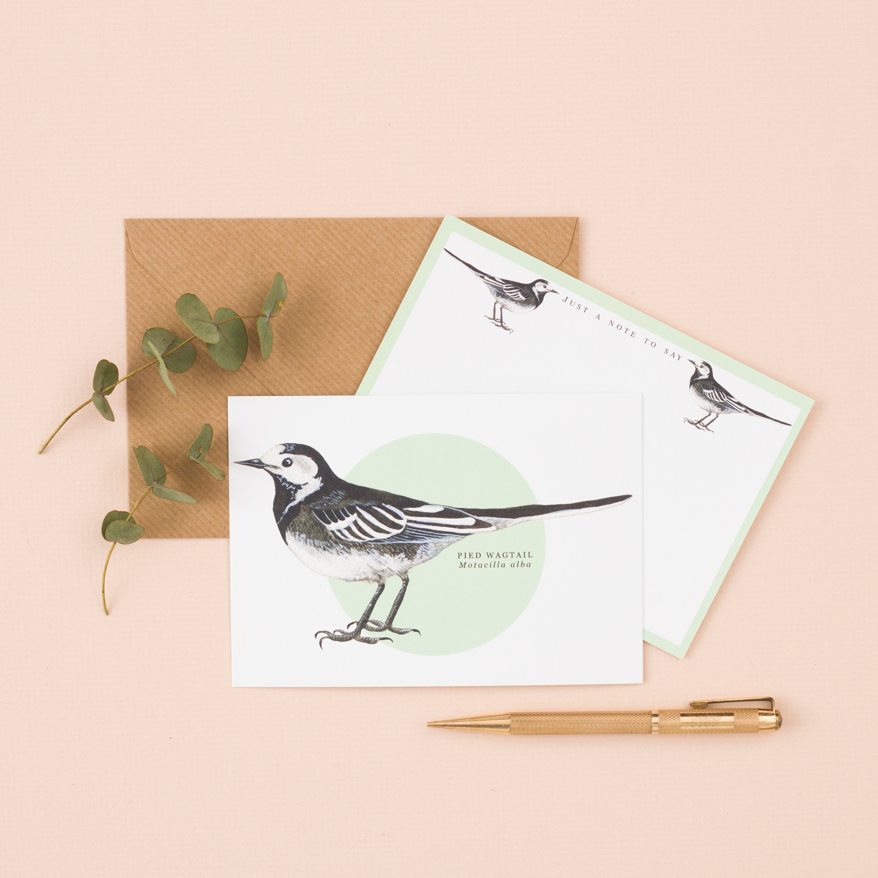 British Bird Notelet Pack Pack of 8 Illustrated Notelets | Etsy