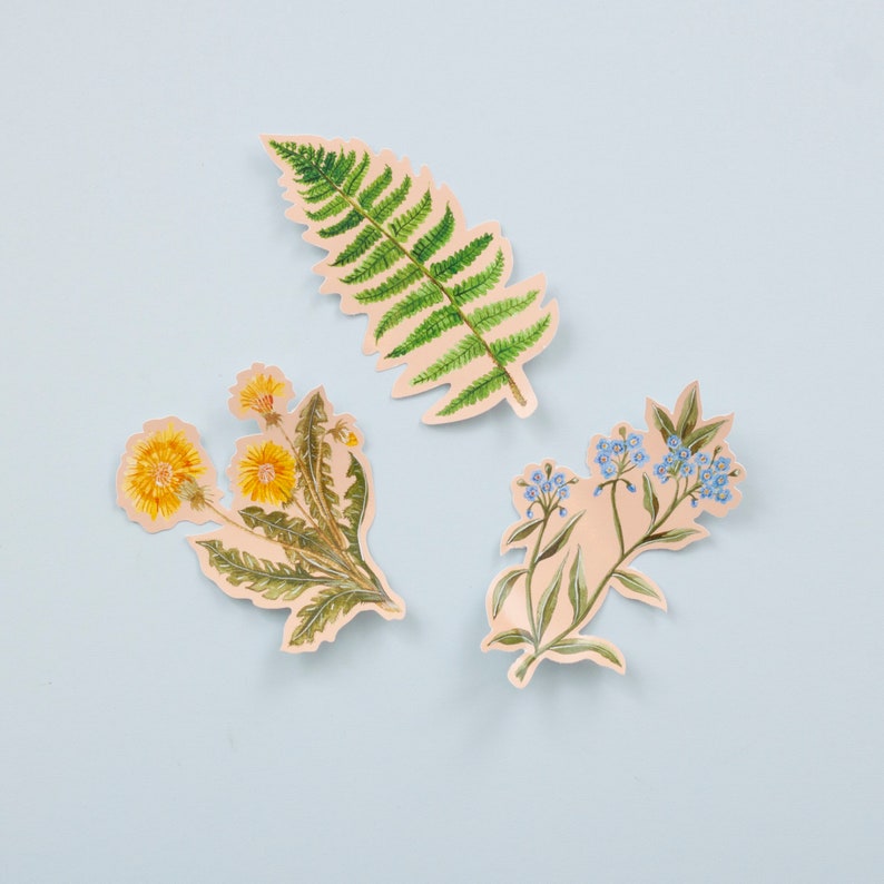Wildflower Vinyl Sticker Pack | Watercolour Flower Stickers | Dandelion ...