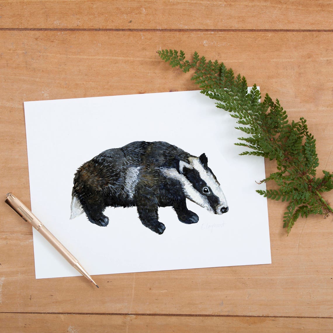 British Badger Illustrated Giclée Print Badger Print - Etsy