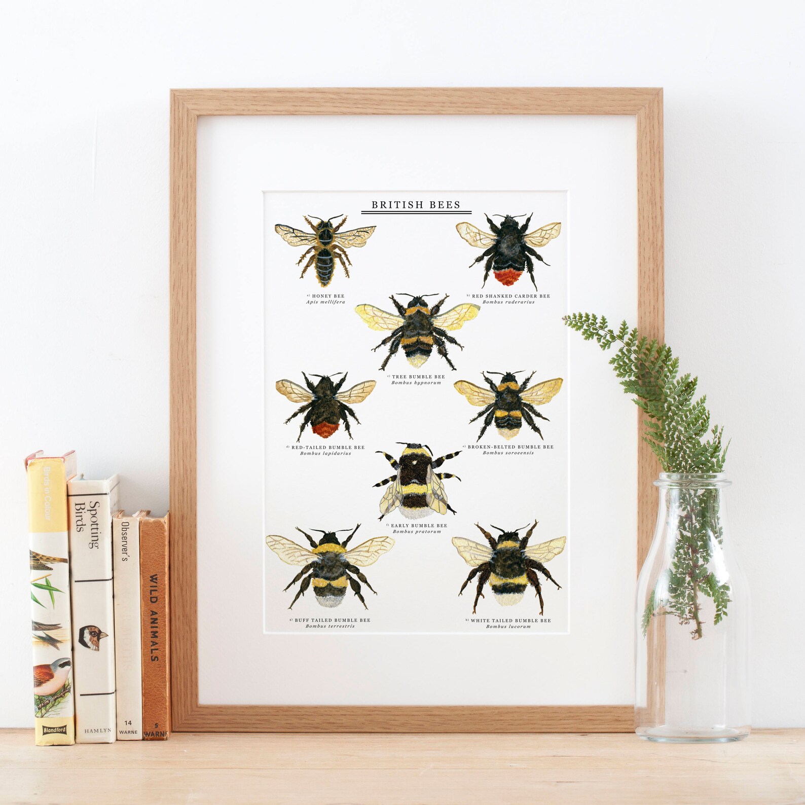 British Bee Print | Bee Illustration | Bee Painting | Bee Print ...