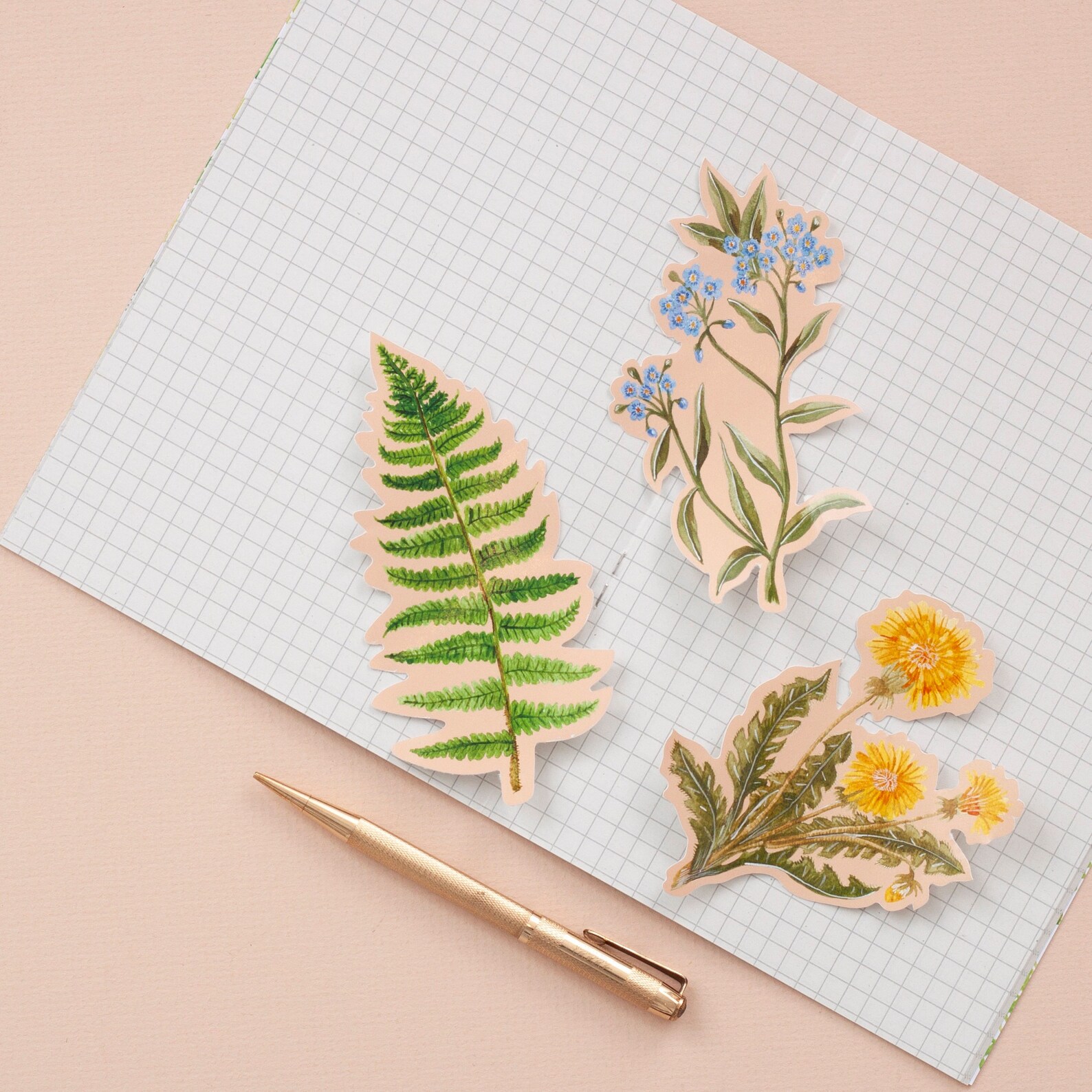 Wildflower Vinyl Sticker Pack | Watercolour Flower Stickers | Dandelion ...