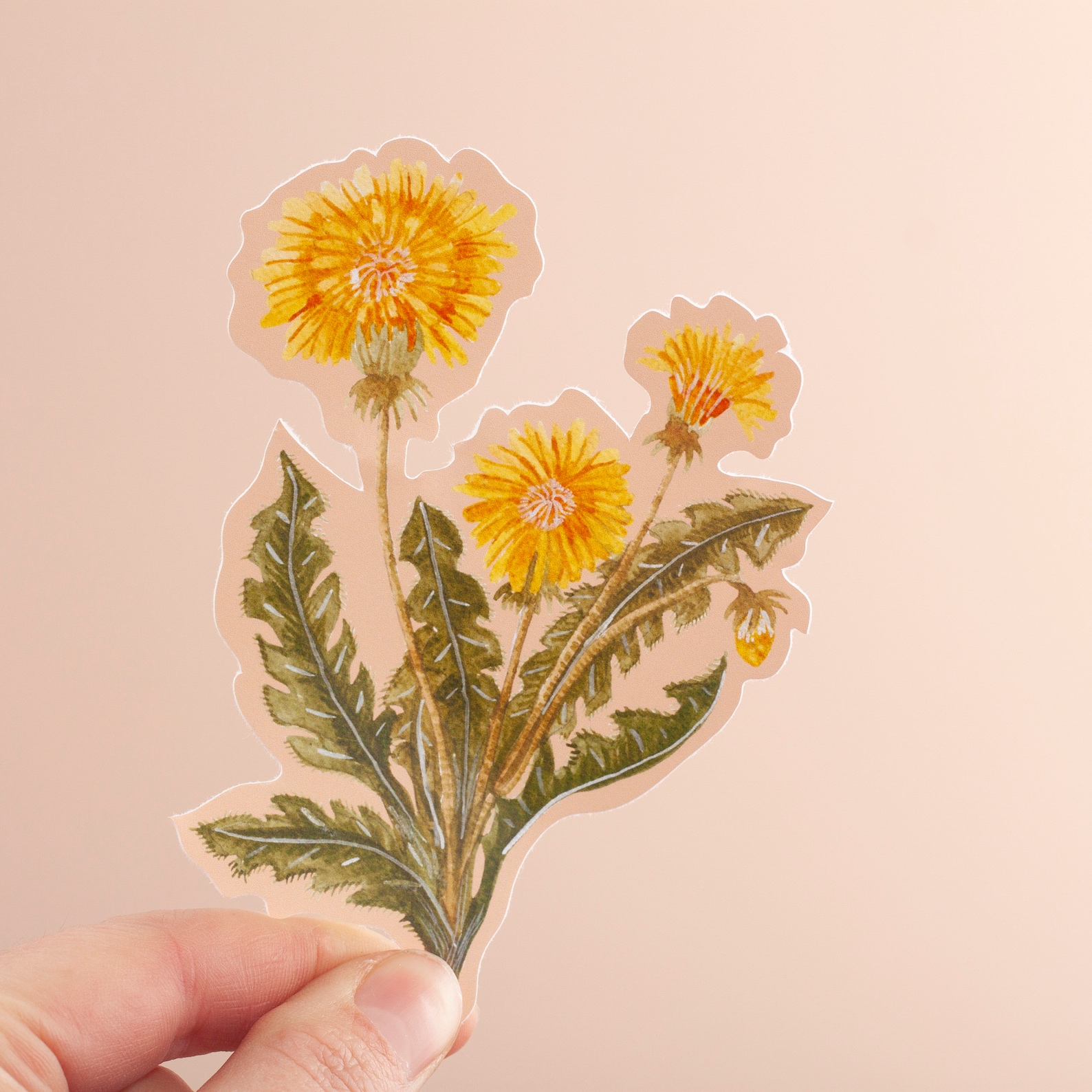 Wildflower Vinyl Sticker Pack | Watercolour Flower Stickers | Dandelion ...