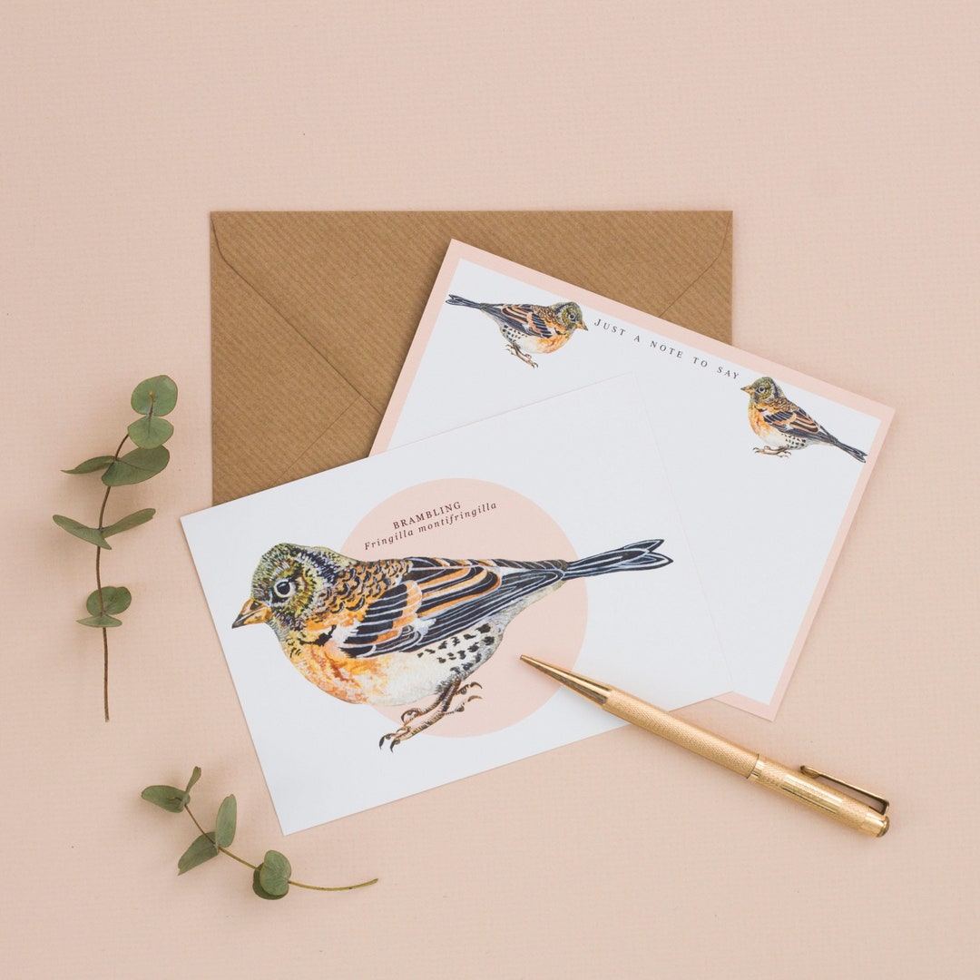 British Bird Notelet Pack | Pack of 8 Illustrated Notelets | Notecards ...