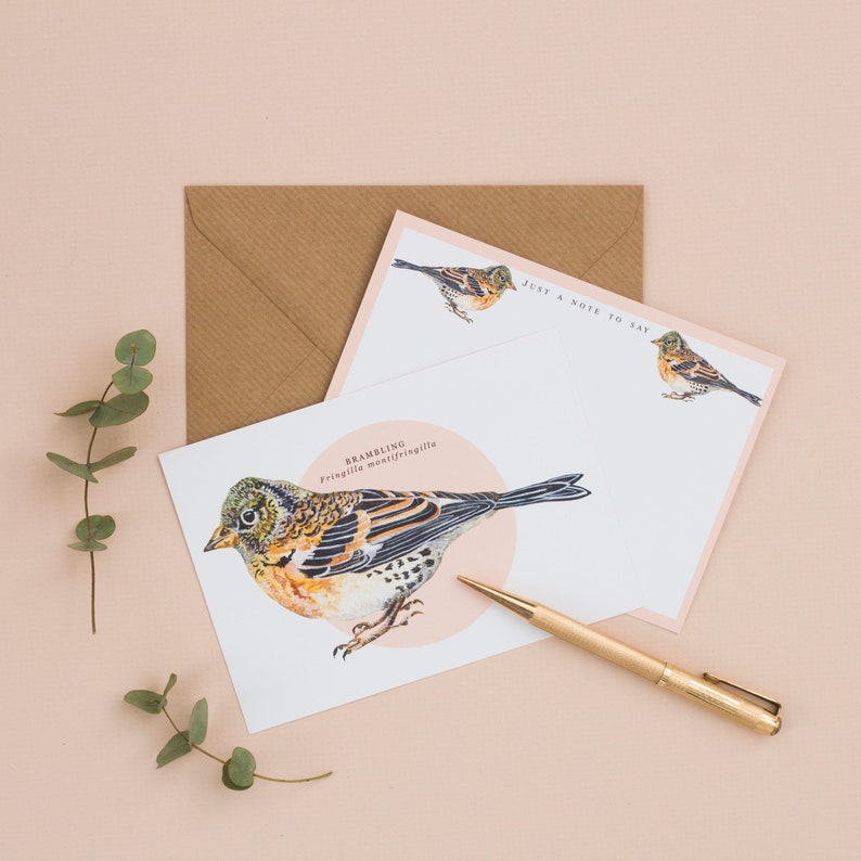 British Bird Notelet Pack Pack of 8 Illustrated Notelets - Etsy UK