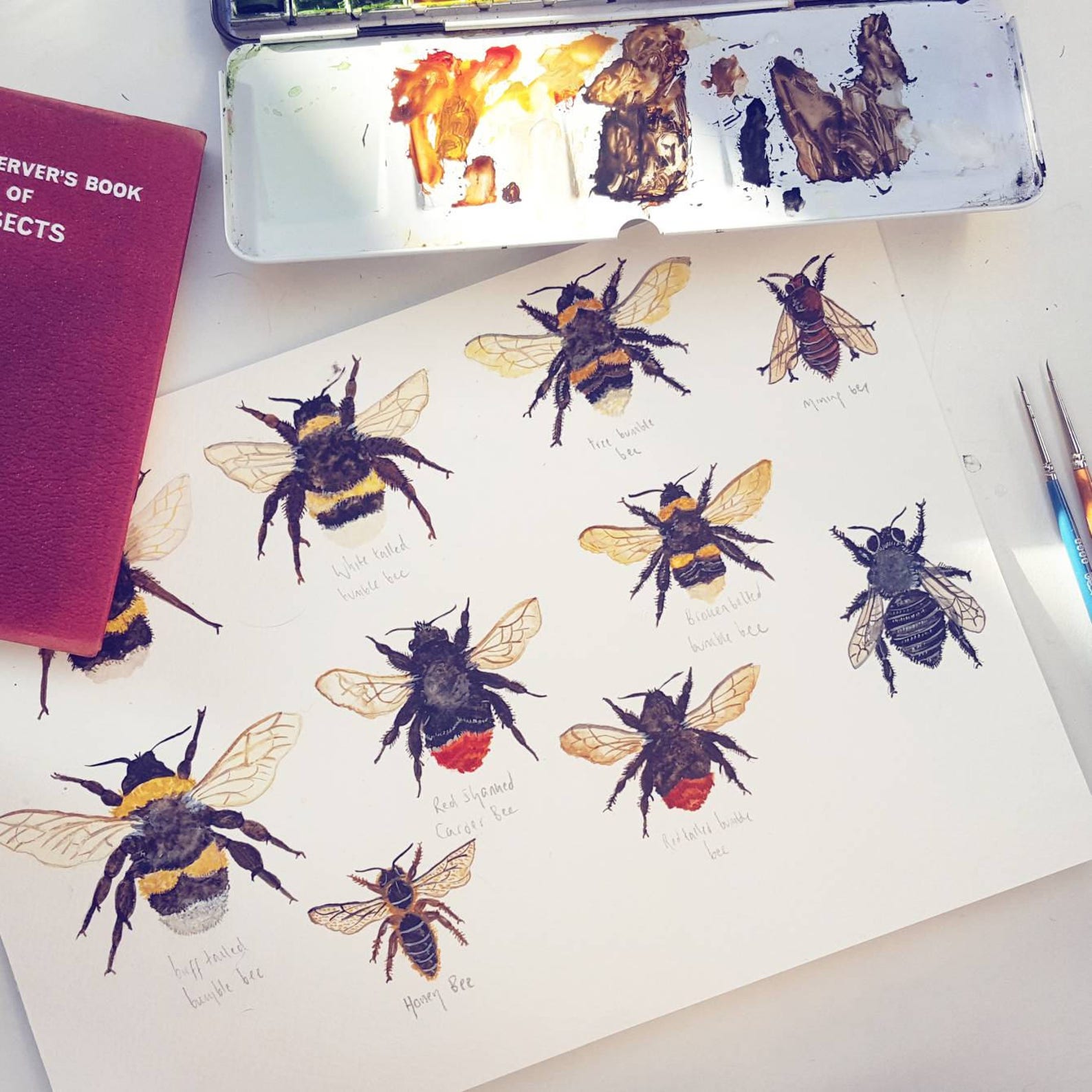 British Bee Print Bee Illustration Bee Painting Bee | Etsy