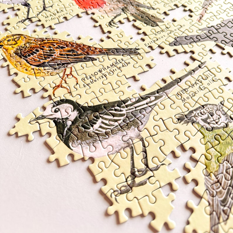British Birds 1000 Piece Jigsaw Puzzle | Bird Jigsaw | Watercolour ...