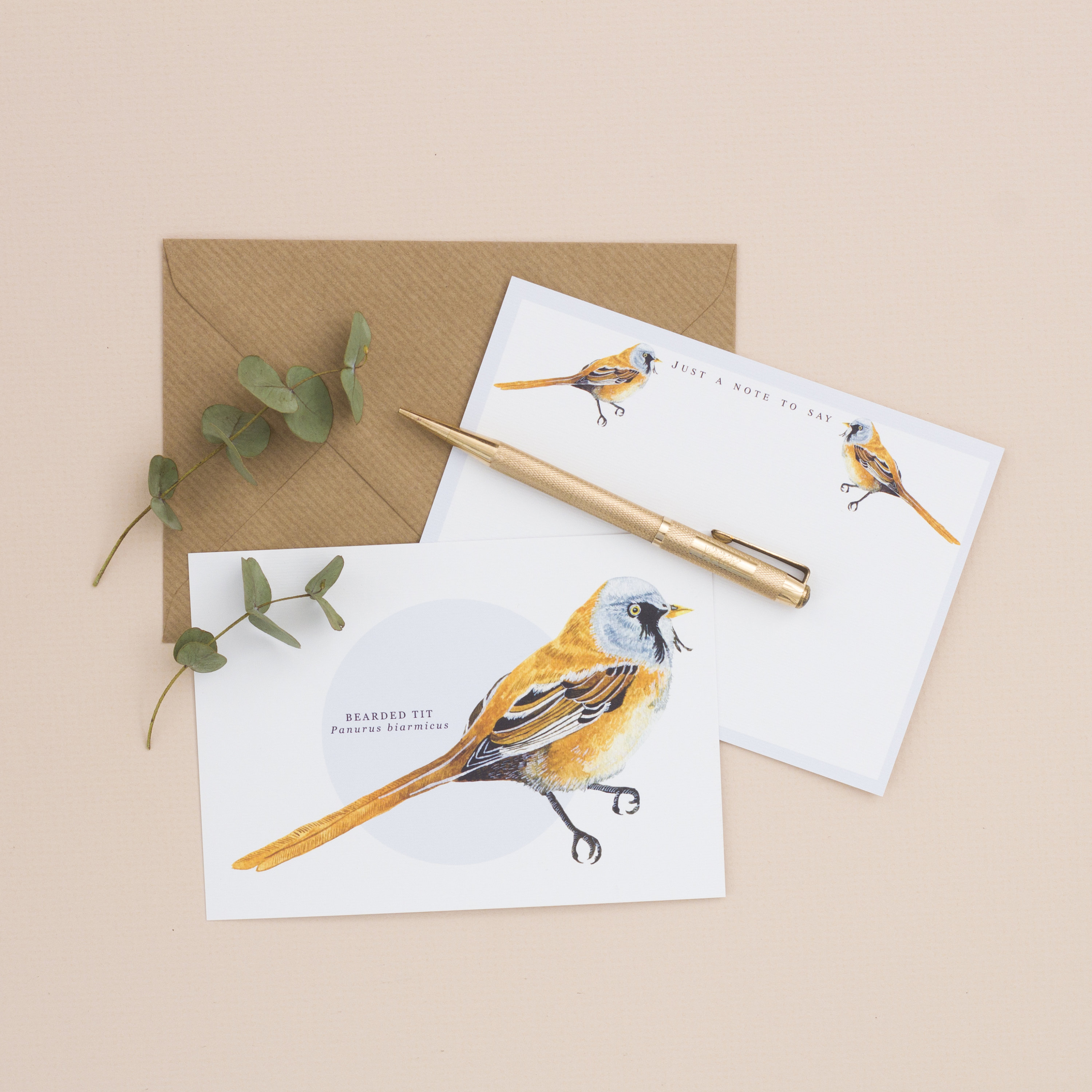 British Bird Notelet Pack Pack of 8 Illustrated Notelets | Etsy