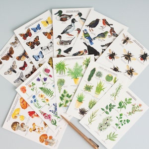 British Nature Postcard Set | Pack of 10 Postcards | British Wildlife ...