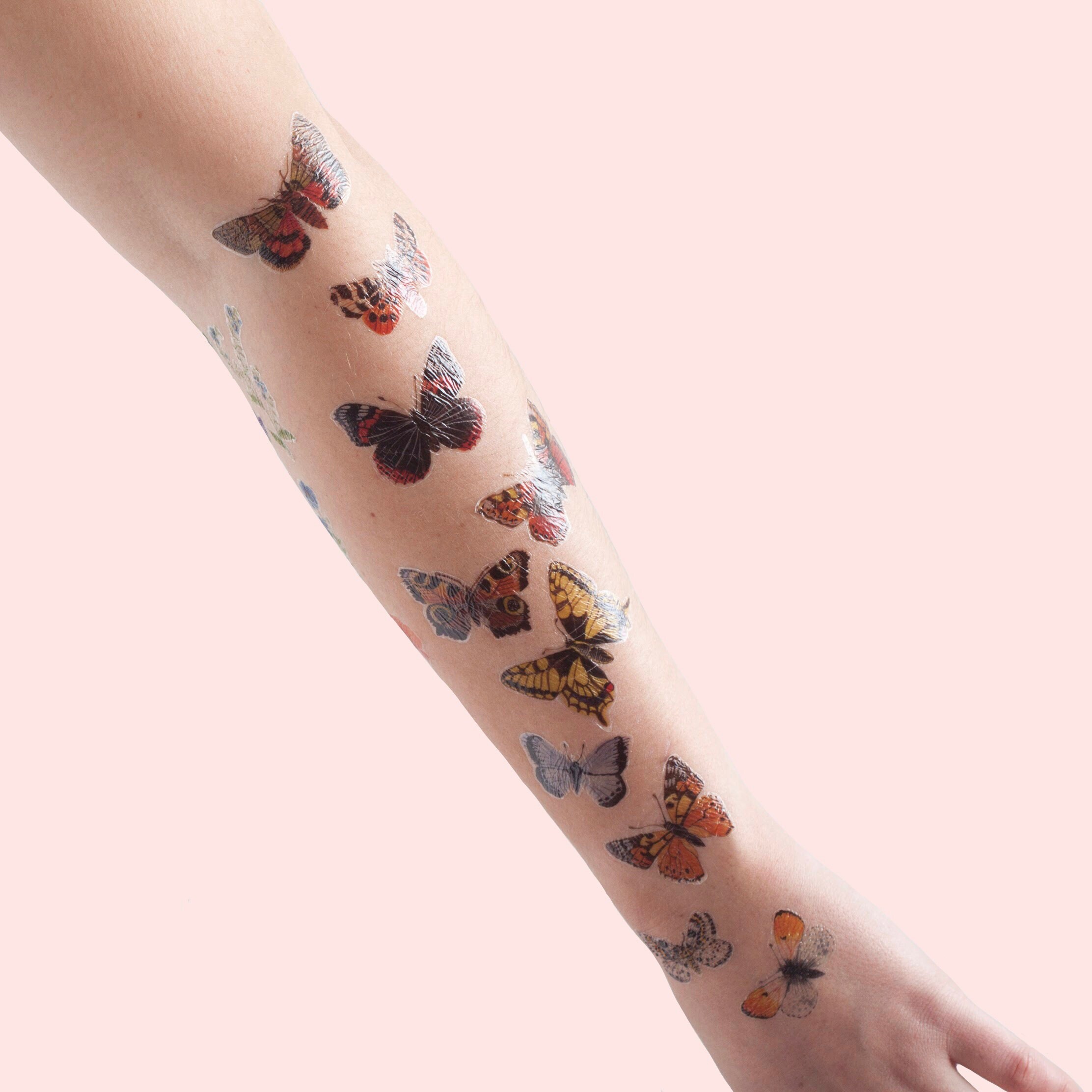 Butterfly & Moth Temporary Tattoos Temporary Tattoo Set | Etsy