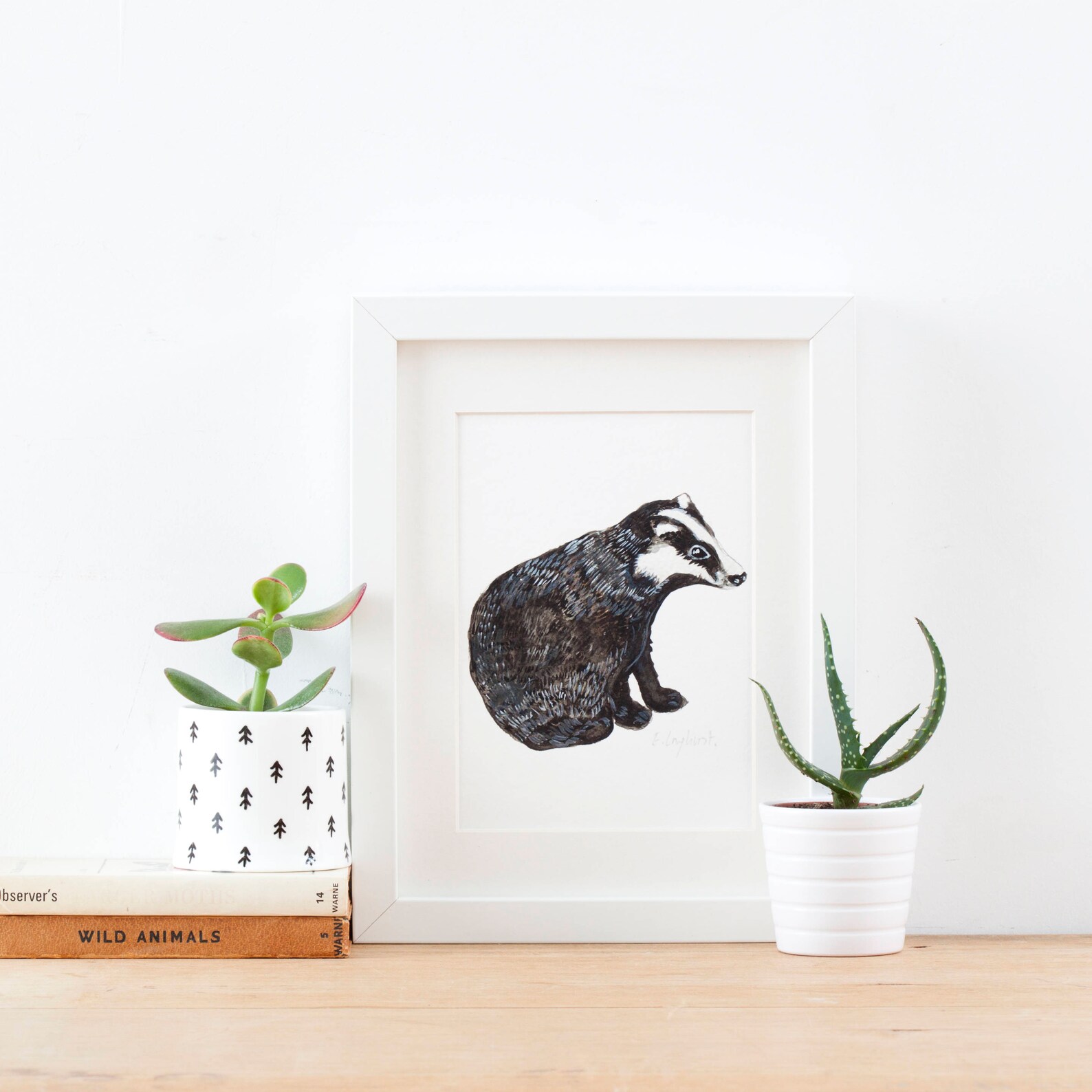 Badger Illustrated Giclée Print British Badger Print | Etsy