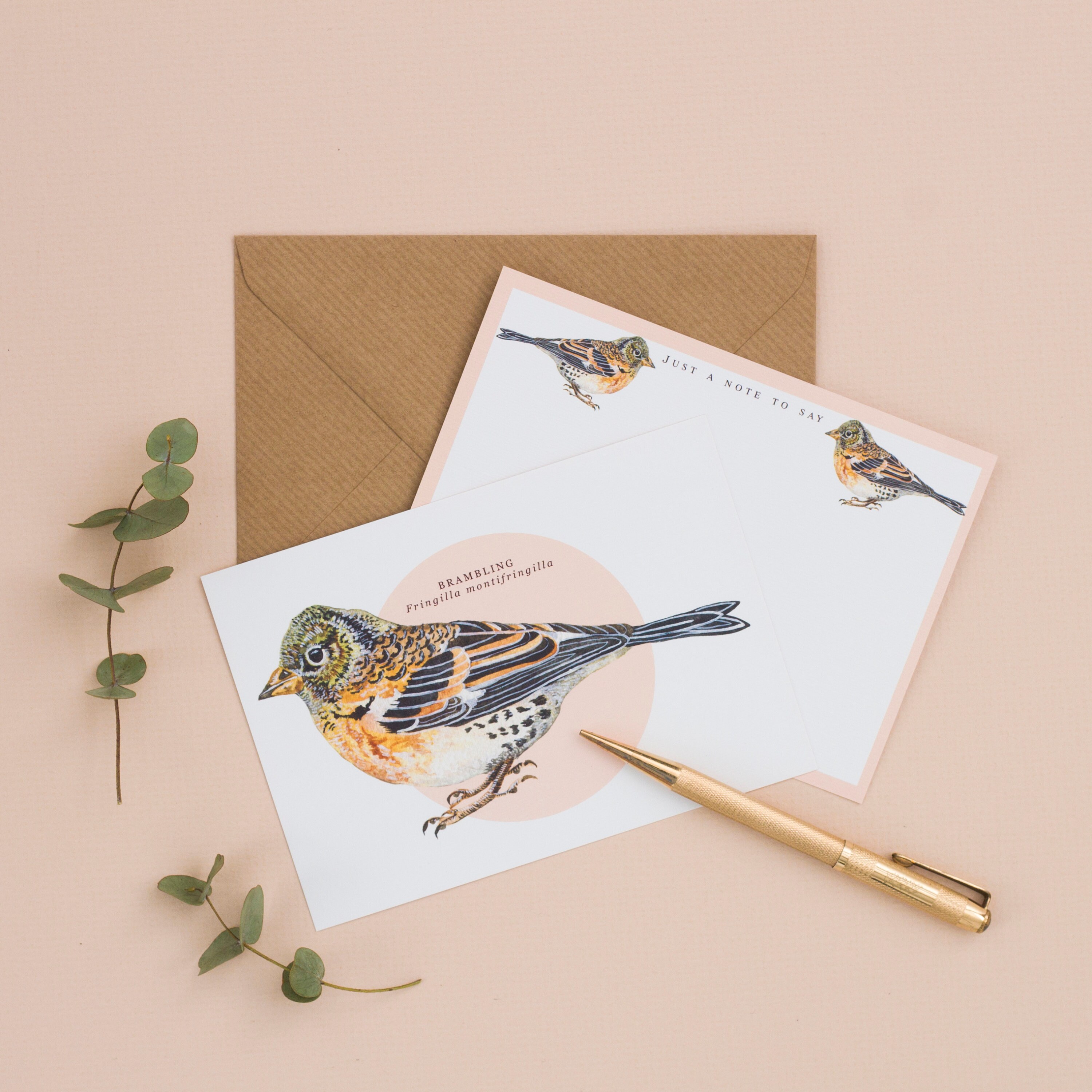 British Bird Notelet Pack Pack of 8 Illustrated Notelets | Etsy