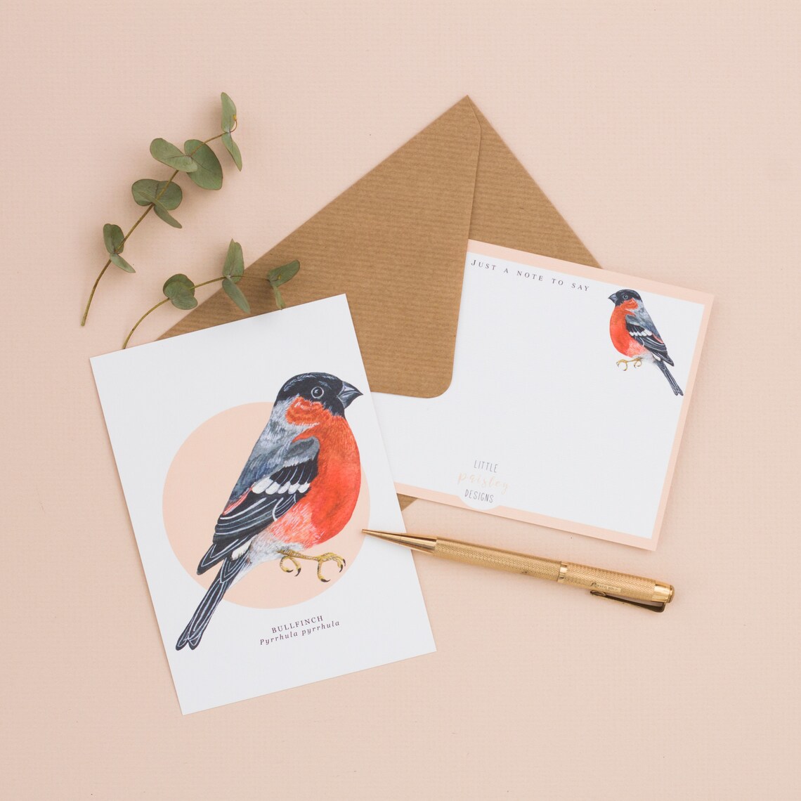 British Bird Notelet Pack Pack of 8 Illustrated Notelets | Etsy