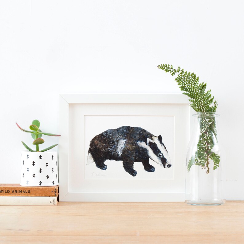 British Badger Illustrated Giclée Print Badger Print - Etsy