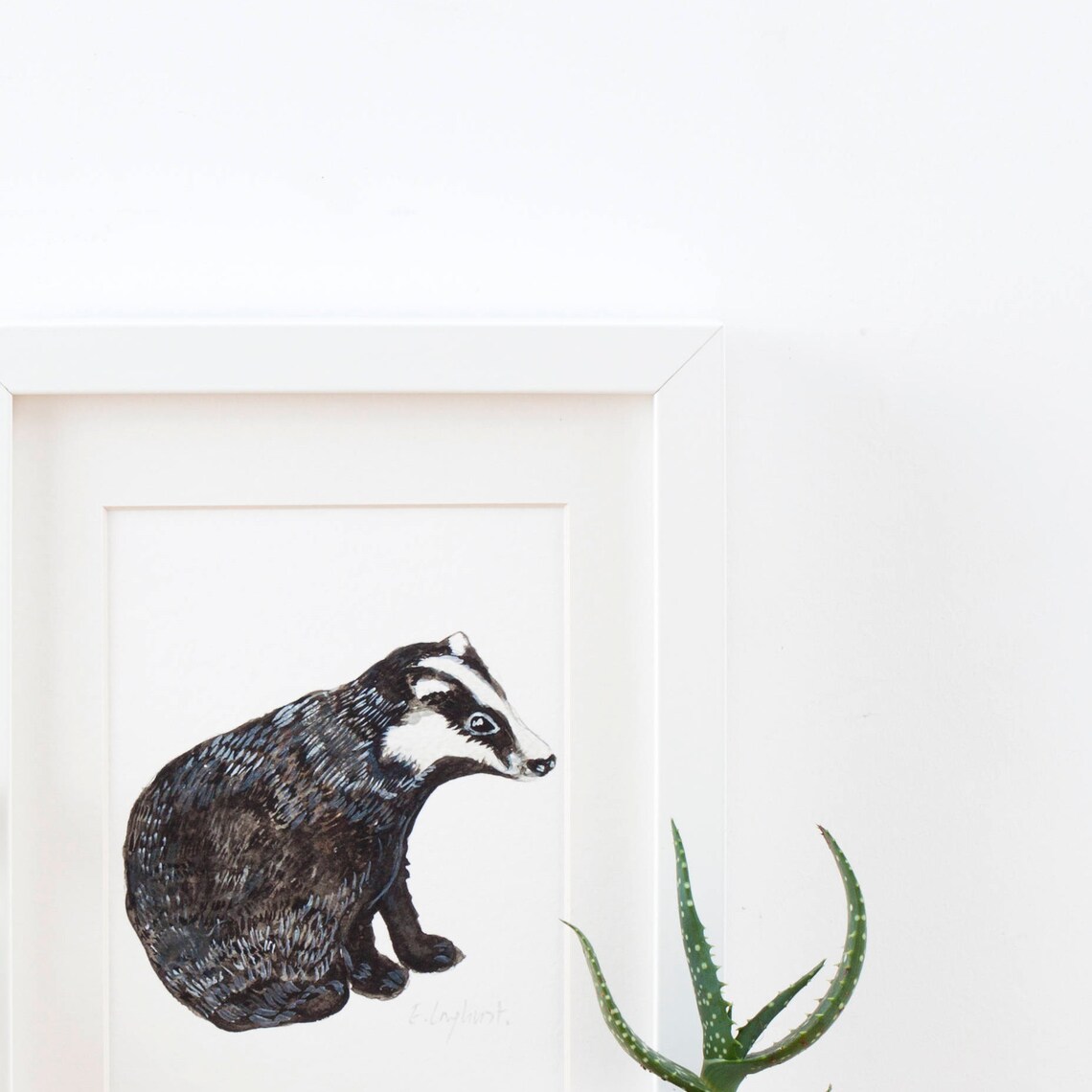 Badger Illustrated Giclée Print British Badger Print | Etsy