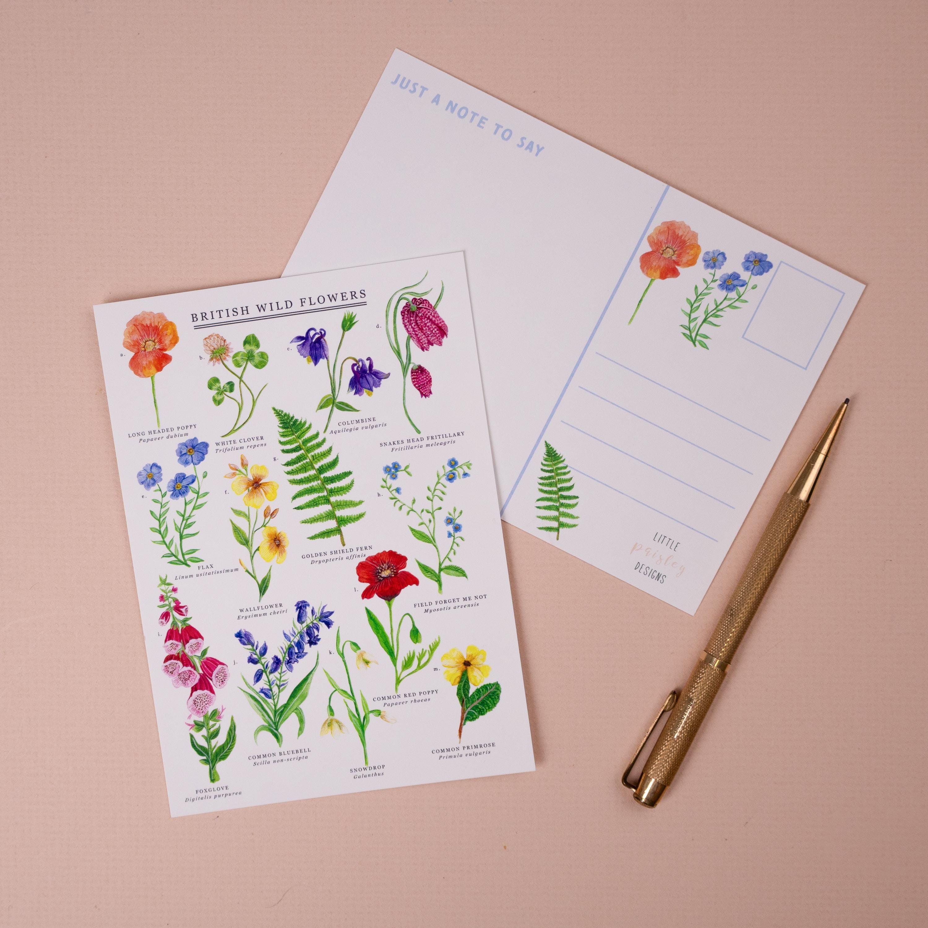 British Wildflowers Postcard | British Nature | Nature Art | Botanical ...