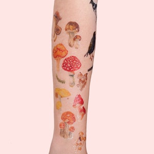Mushroom & Toadstool Temporary Tattoos | Temporary Tattoo Set | British ...