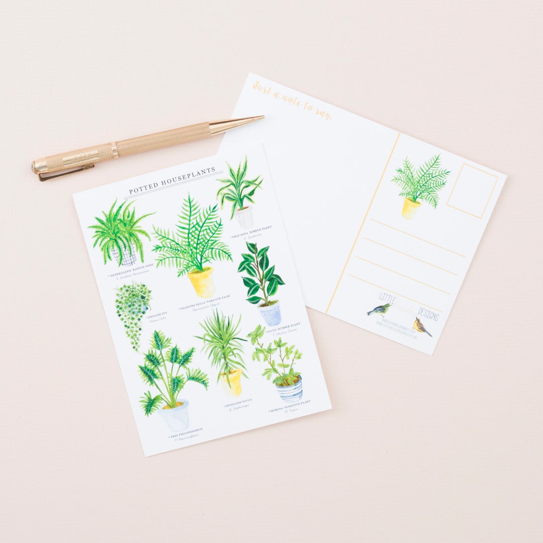 Potted Houseplants Postcard | Plant Print | Nature Art | Botanical ...