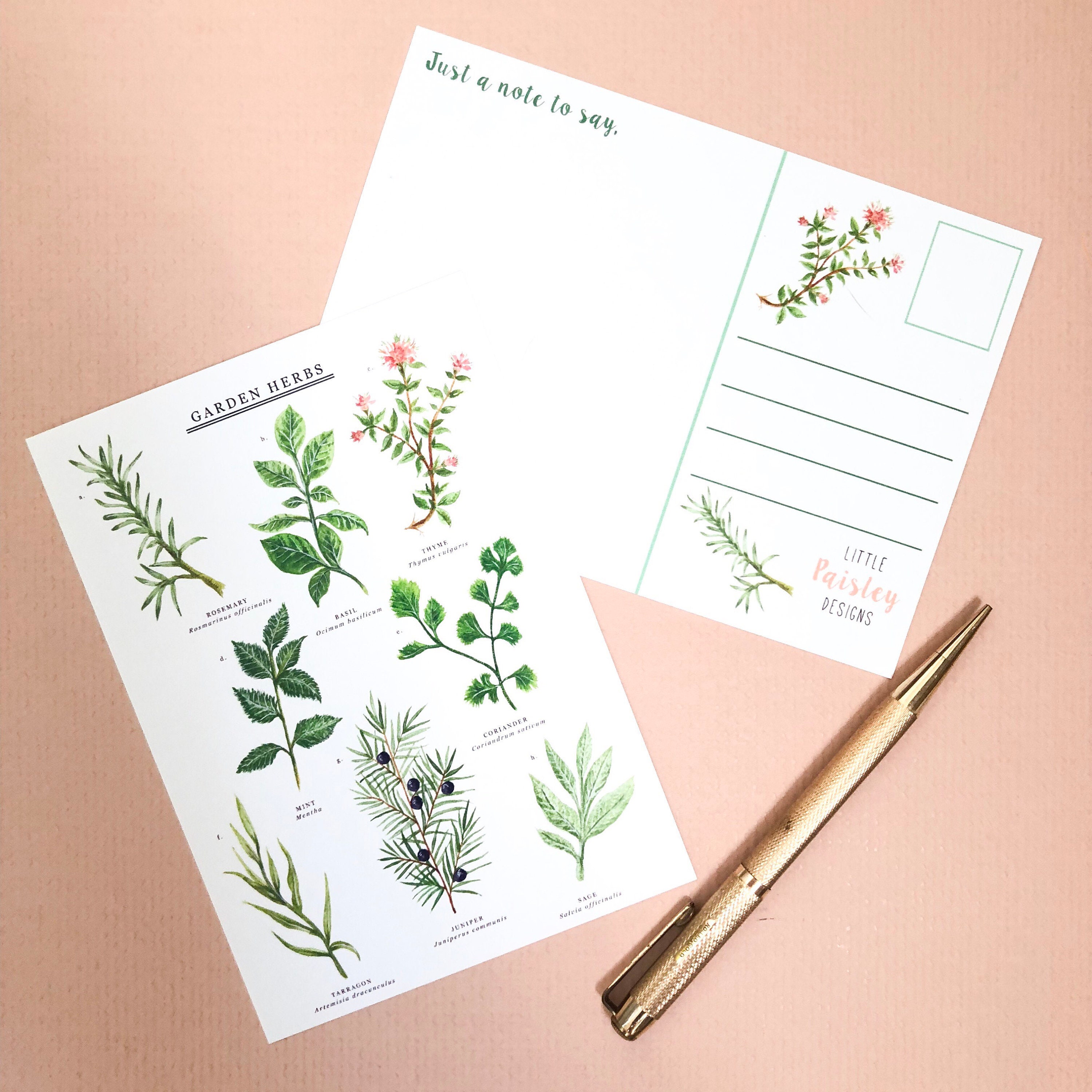 British Nature Postcard Set Pack of 10 postcards British | Etsy