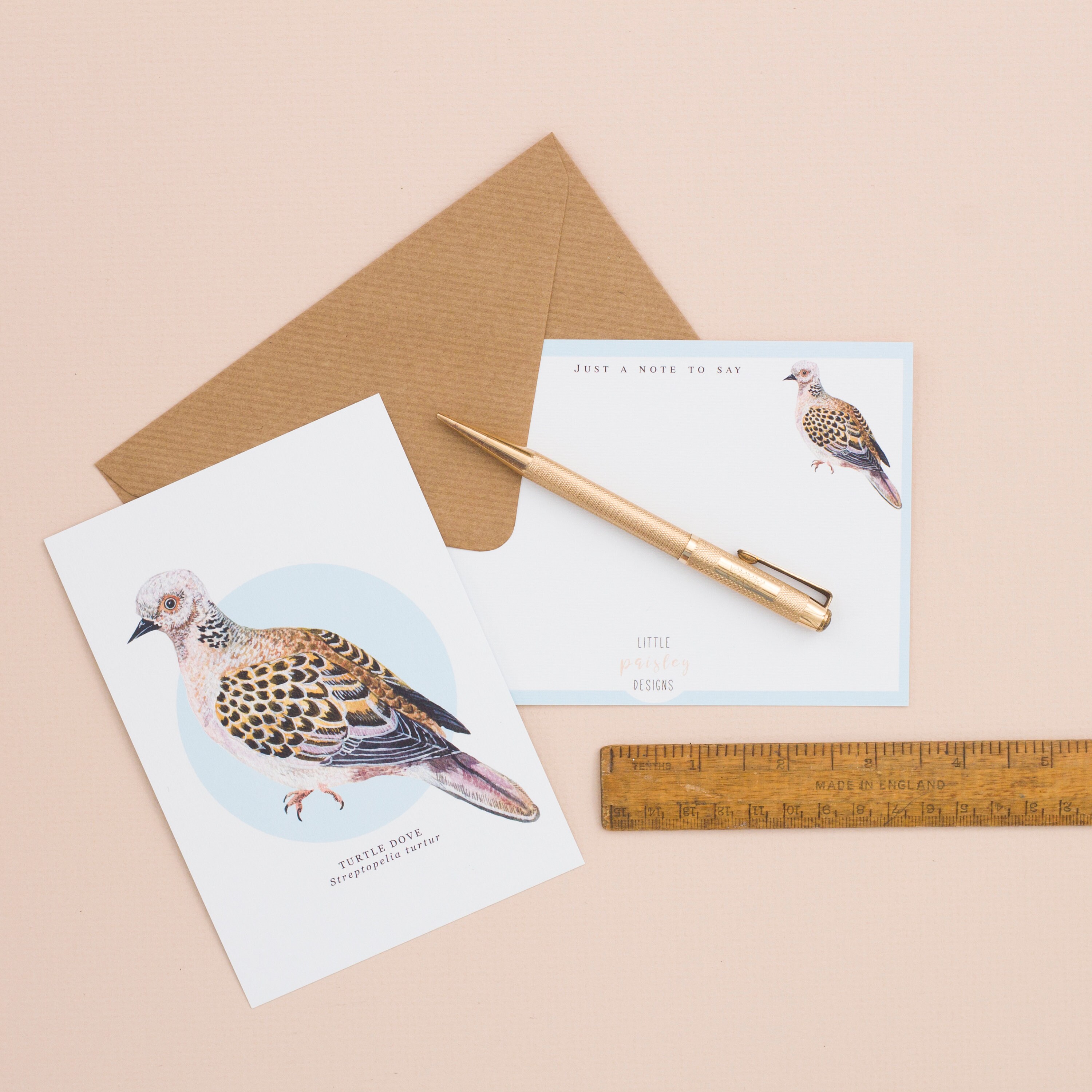 British Bird Notelet Pack Pack of 8 Illustrated Notelets | Etsy
