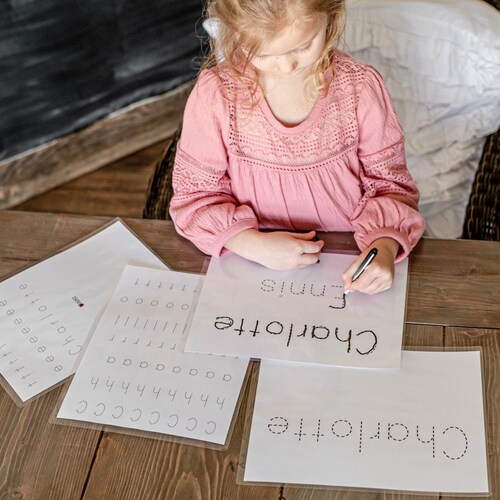 EUROPE ANIMALS Montessori Cards Flash Cards Three Part | Etsy