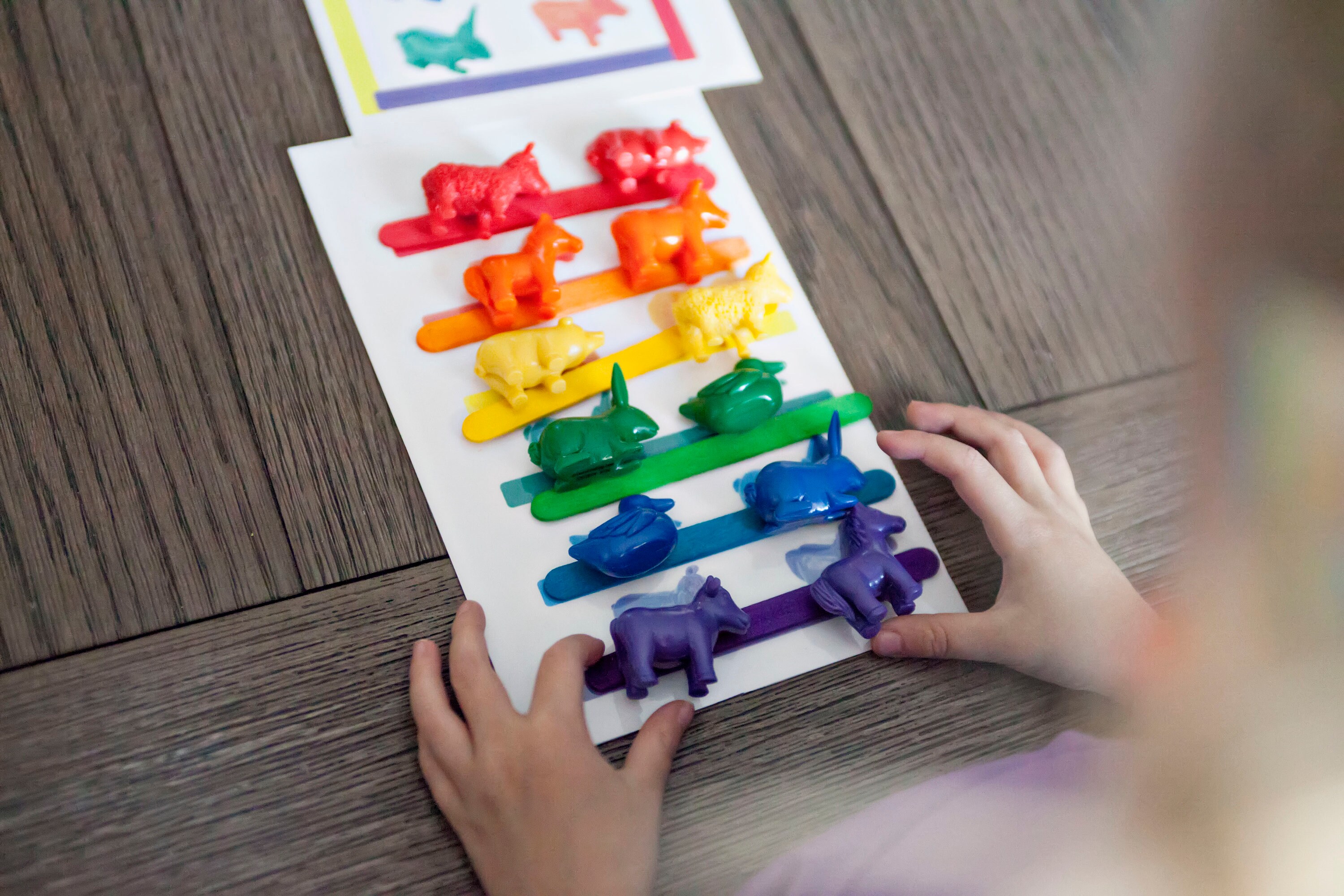 Color Matching Preschool Learning Toy Farm Animals Toys | Etsy