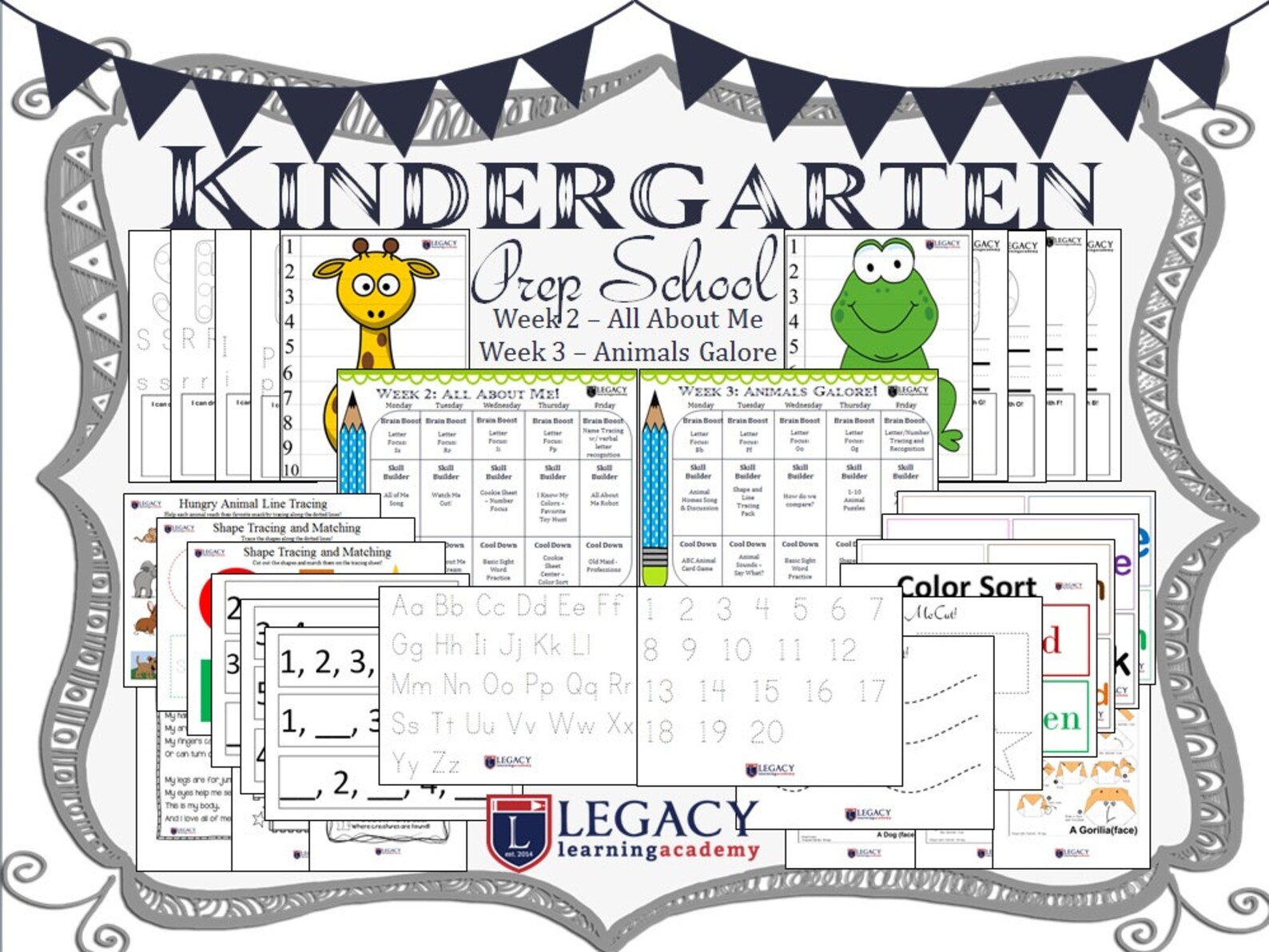 Kindergarten Homeschool Curriculum Set W/ Lesson Plans Kinder | Etsy