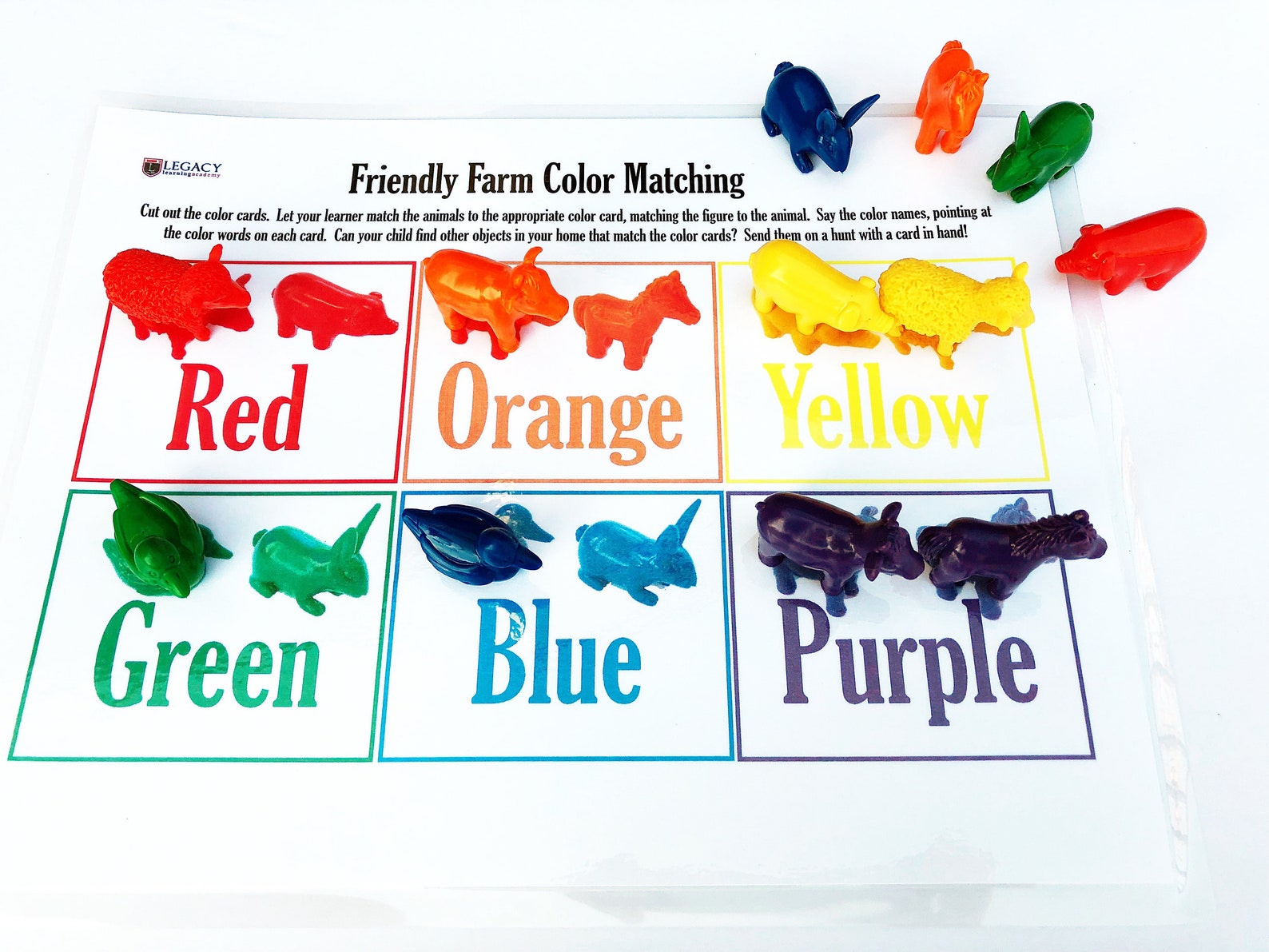 Color Matching Preschool Learning Toy Farm Animals Toys - Etsy
