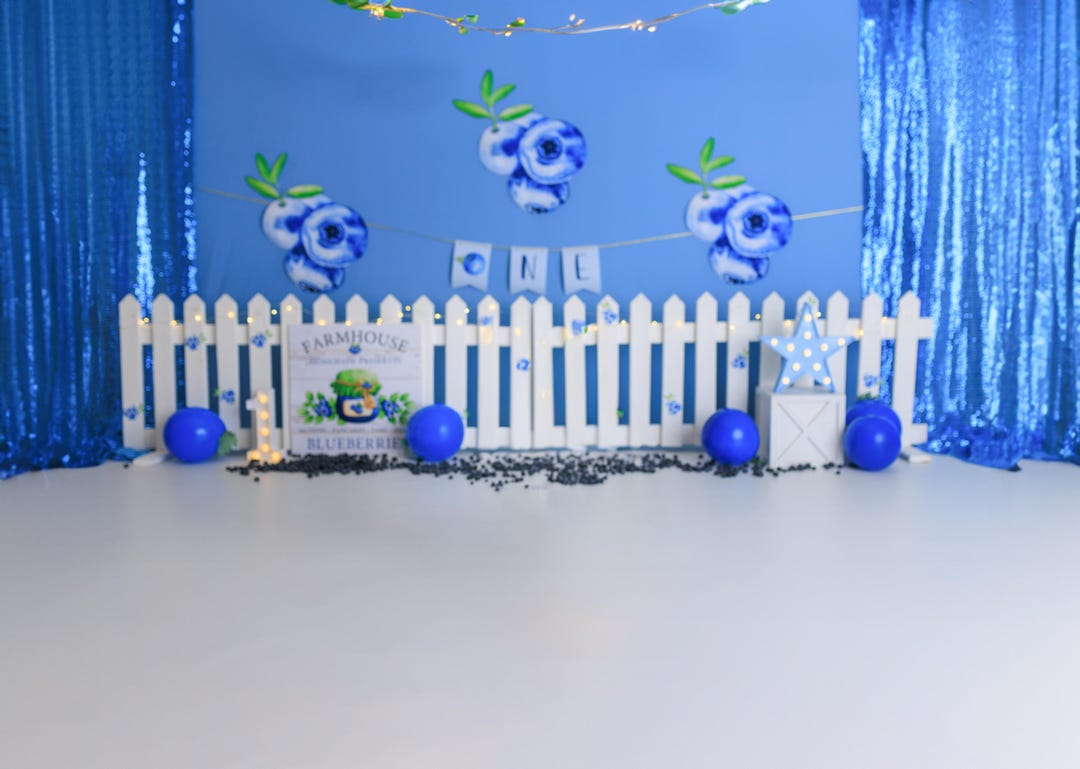 DIGITAL DOWNLOAD: Backdrop, Background, Blue, Birthday, 1st, Blueberry ...