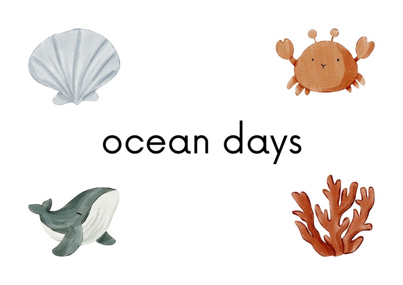 24 Ocean Themed Flash Cards - Montessori Flash Cards - INSTANT DOWNLOAD ...