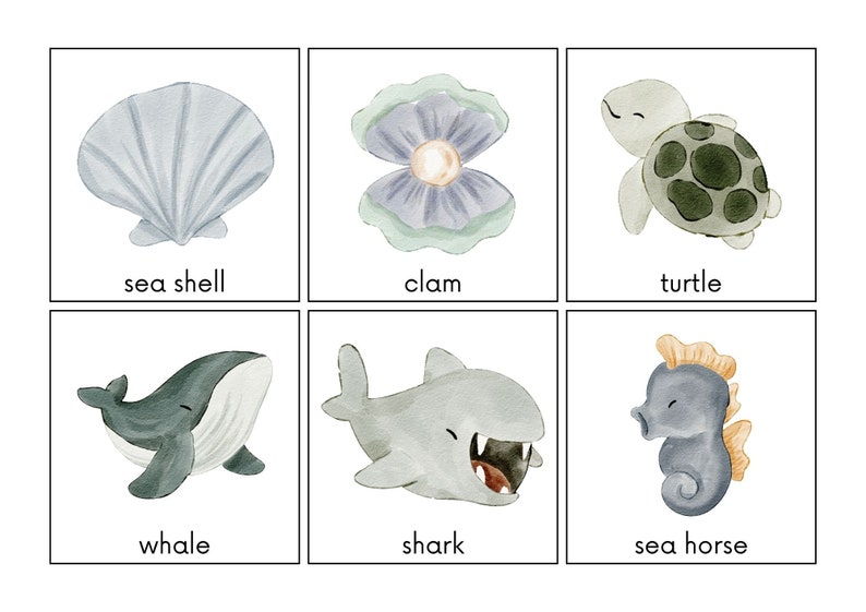 24 Ocean Themed Flash Cards - Montessori Flash Cards - INSTANT DOWNLOAD ...