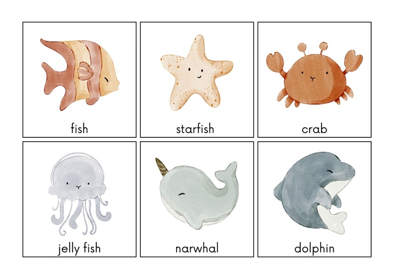 24 Ocean Themed Flash Cards - Montessori Flash Cards - INSTANT DOWNLOAD ...