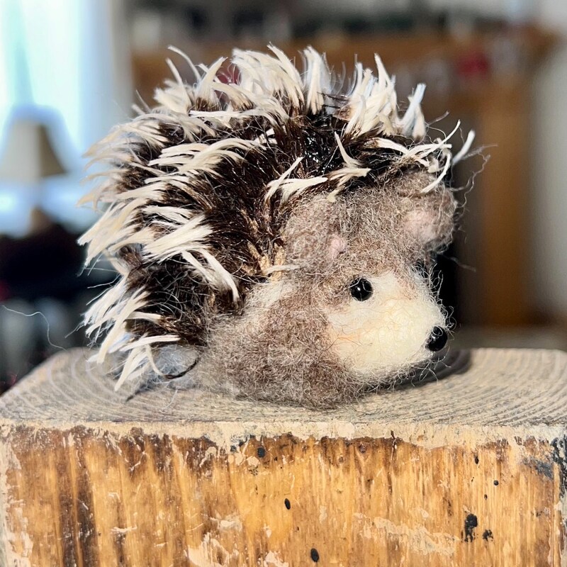 Needle Felt Hedgehog - Etsy