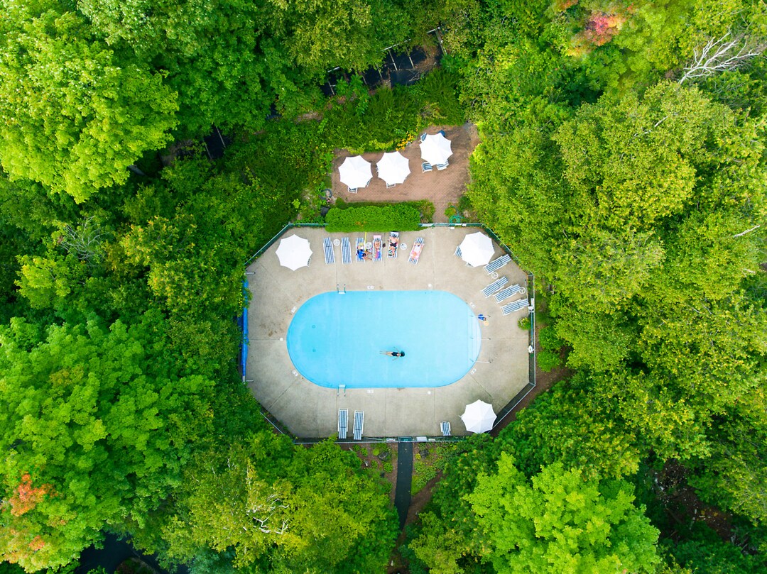 Pool in the Woods Fine Art Photograph. Aerial/drone - Etsy