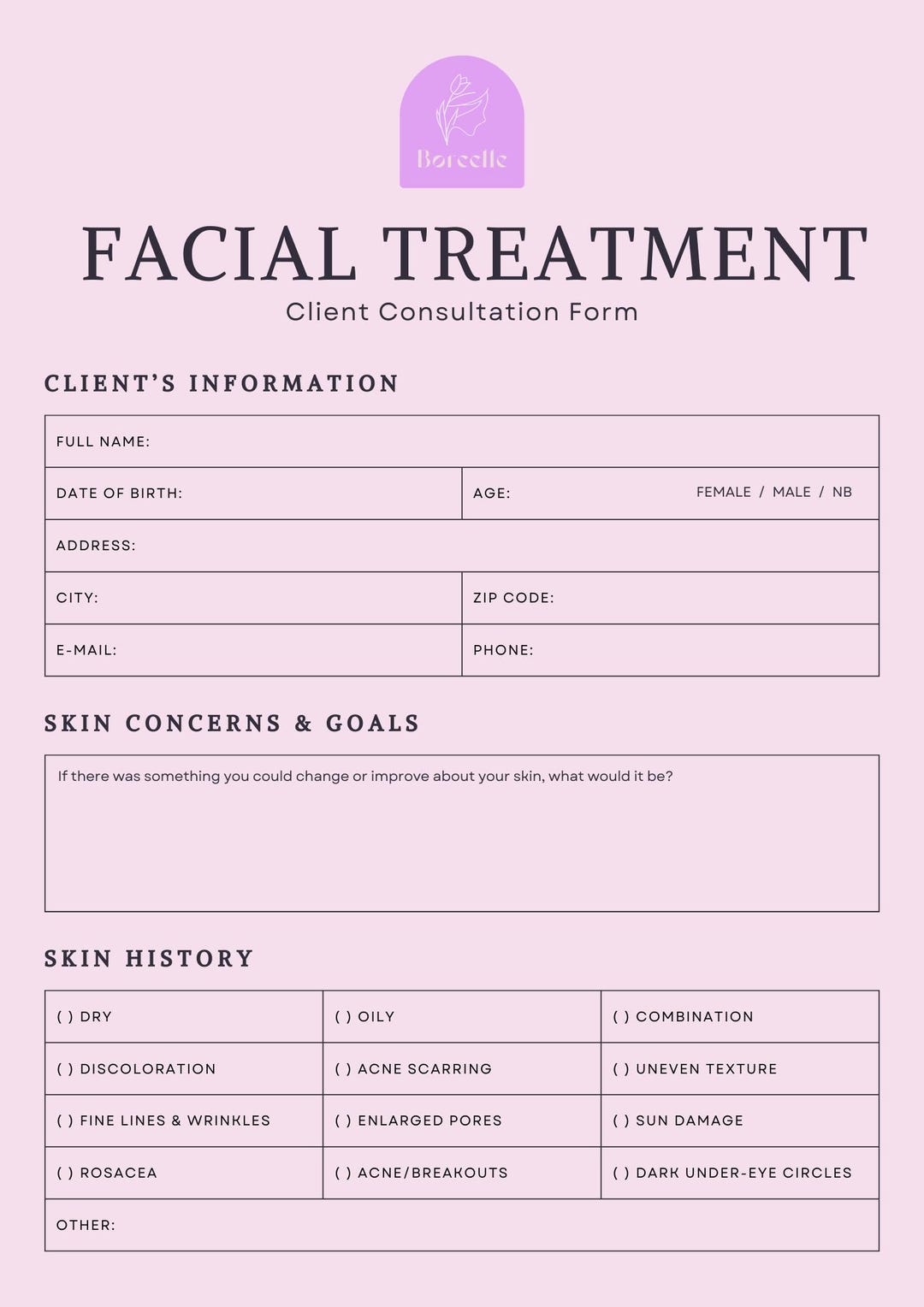 EDITABLE Facial Consultation Form, Client Intake Form,beauty Salon ...