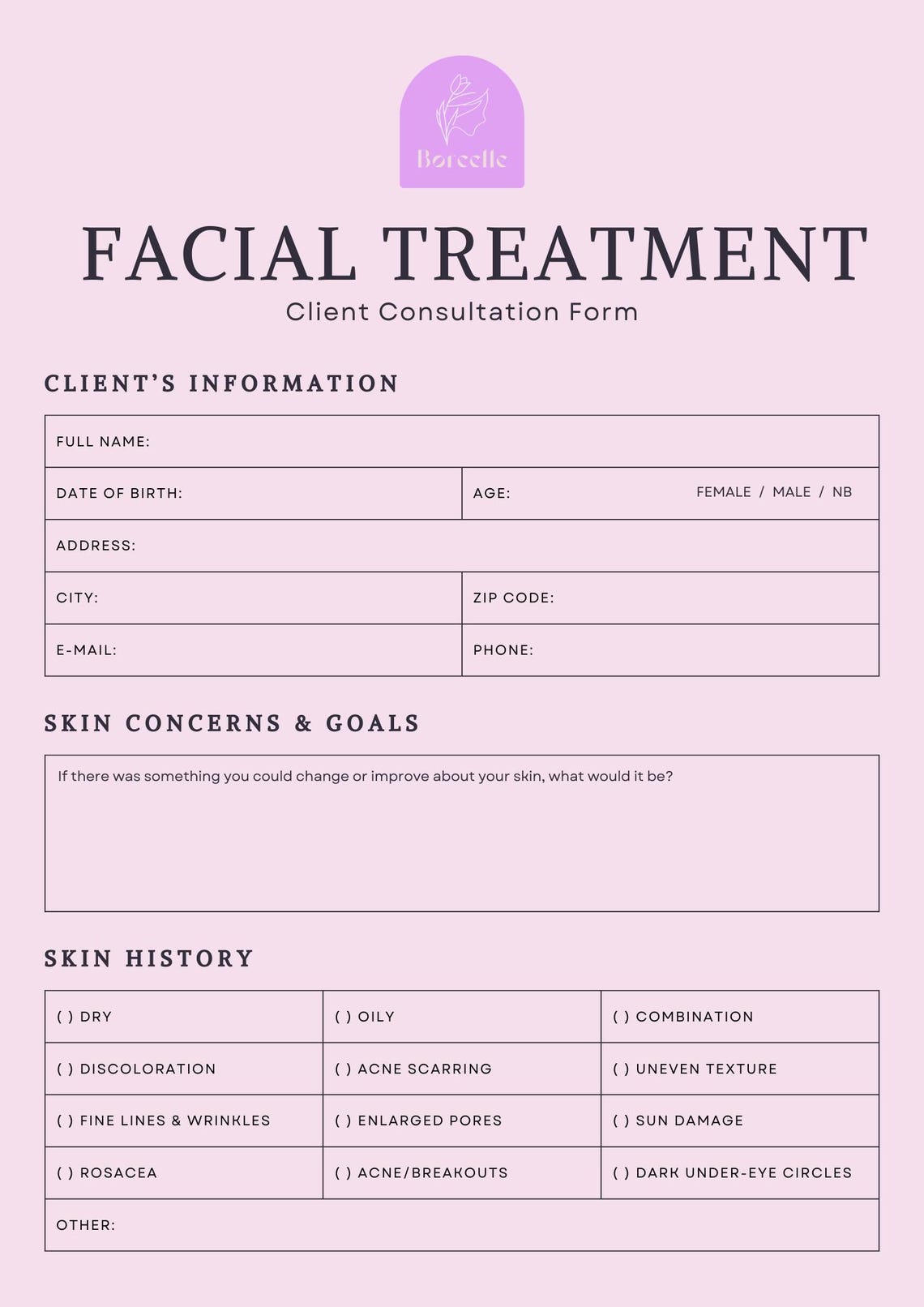 EDITABLE Facial Consultation Form, Client Intake Form,beauty Salon ...