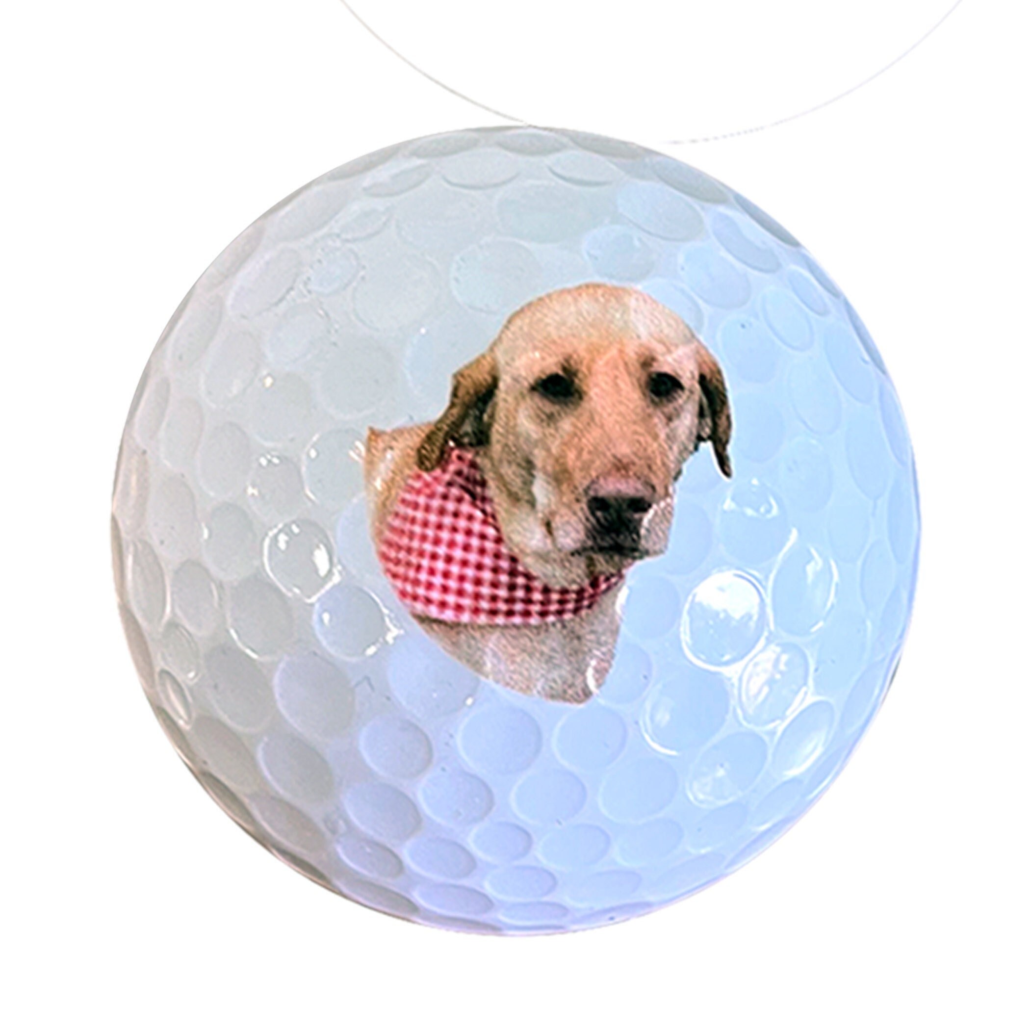 Are Golf Balls Ok For Dogs