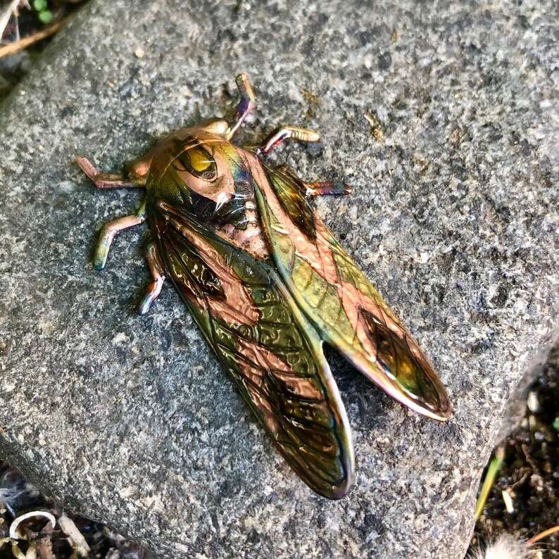 Cicada Pin Copper Cicada Brooch Brood X Cicada Jewelry - Etsy