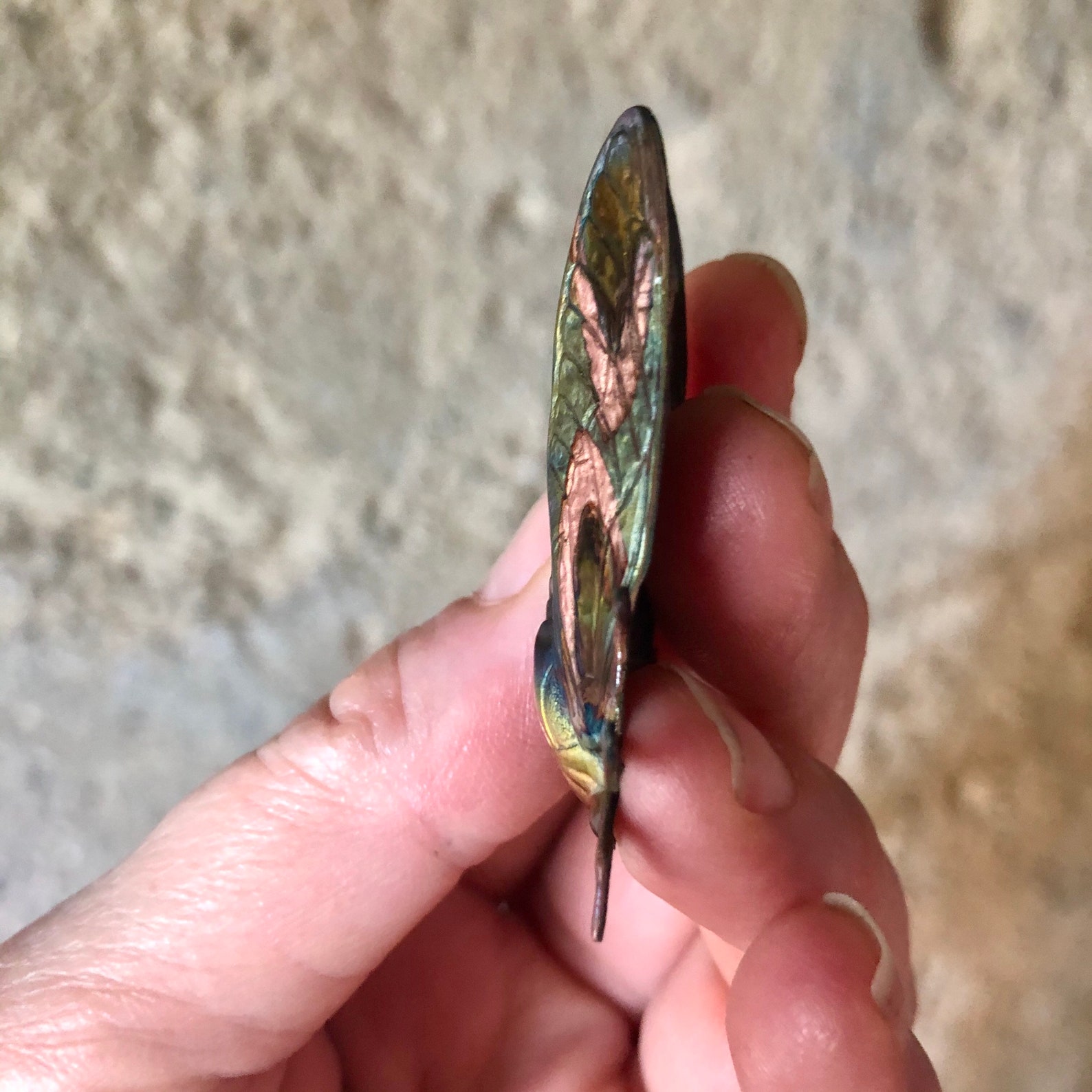 Cicada Pin - Copper Cicada Brooch - Brood X Cicada Jewelry - Brood X ...