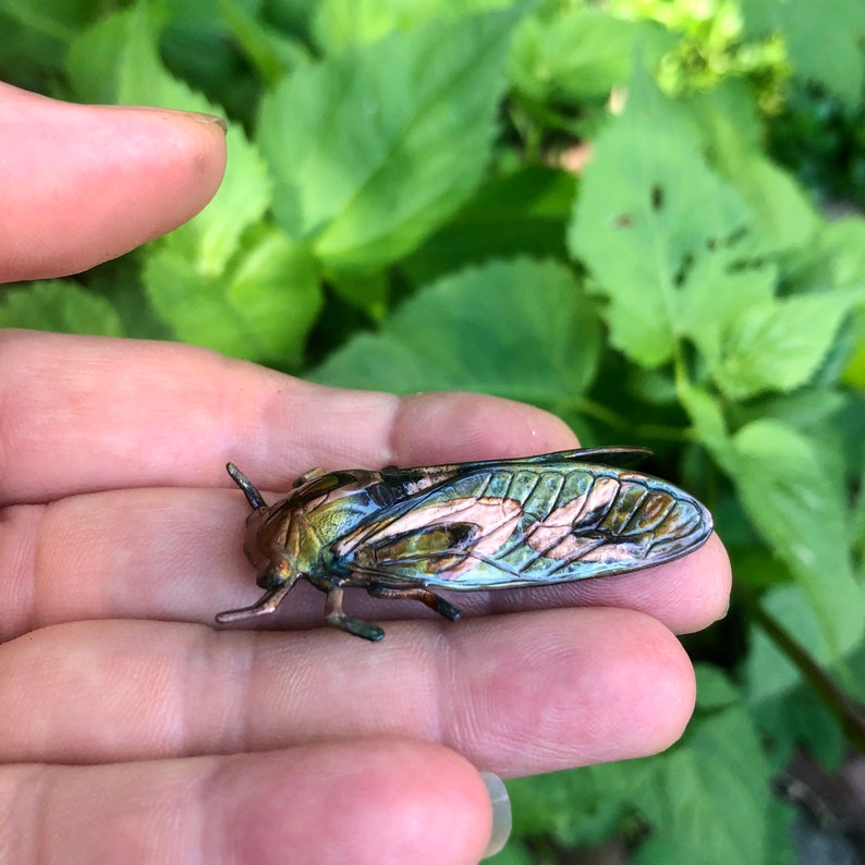 Cicada Pin - Copper Cicada Brooch - Brood X Cicada Jewelry - Brood X ...