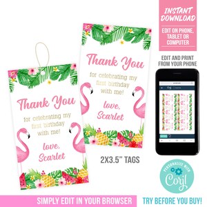 Editable Flamingo First Birthday Tags, 1st Birthday Favor Tag Template ...