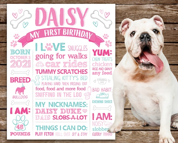 Dog First Birthday Sign, Dog 1st Birthday Party, Puppy Birthday ...